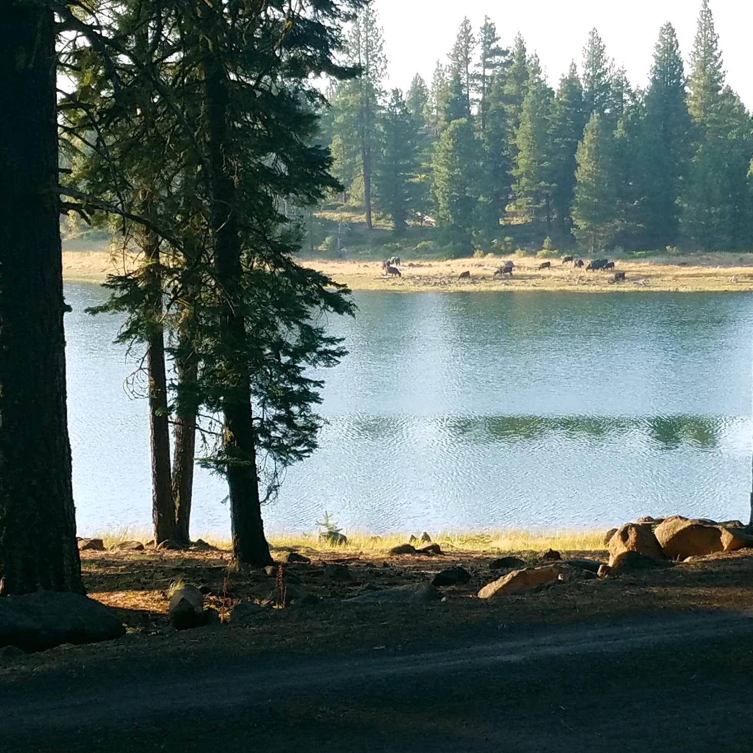 Lofton Reservoir Camping | Lakeview, Oregon