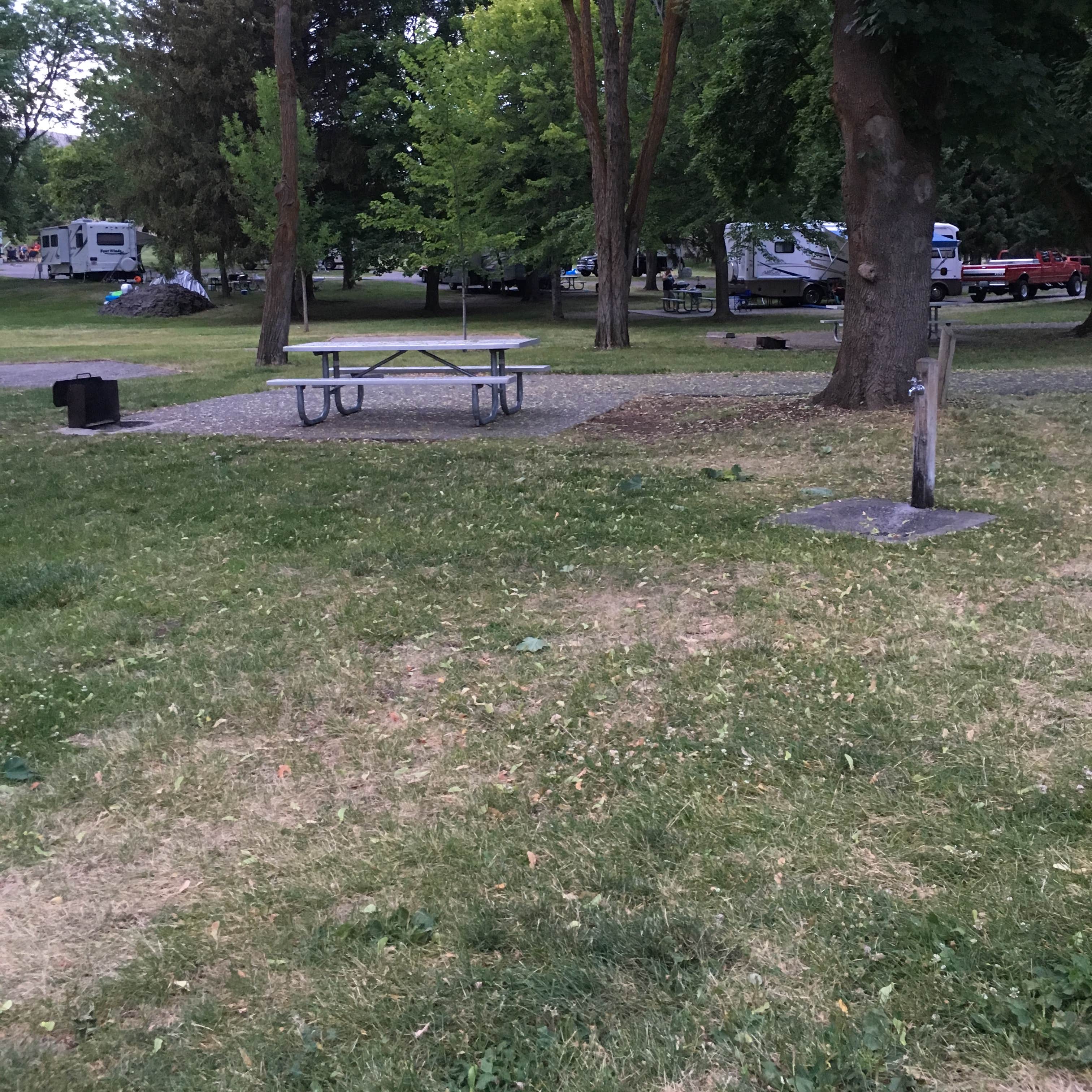 Bridgeport State Park Camping | The Dyrt