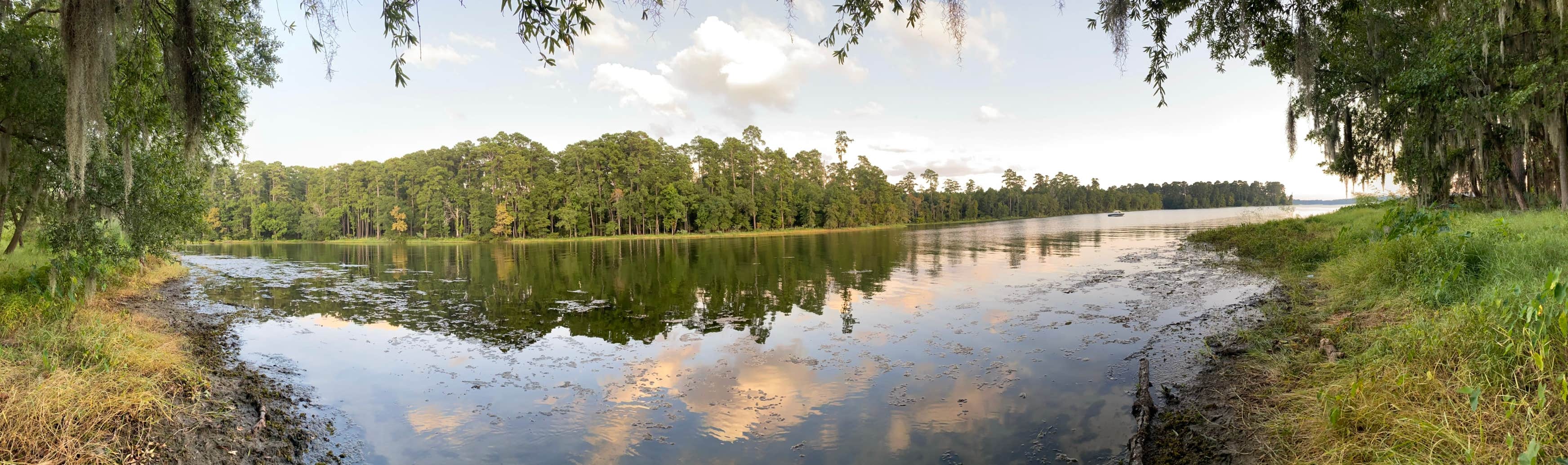 Sam Houston National Forest Cagle Recreation Area Camping | The Dyrt