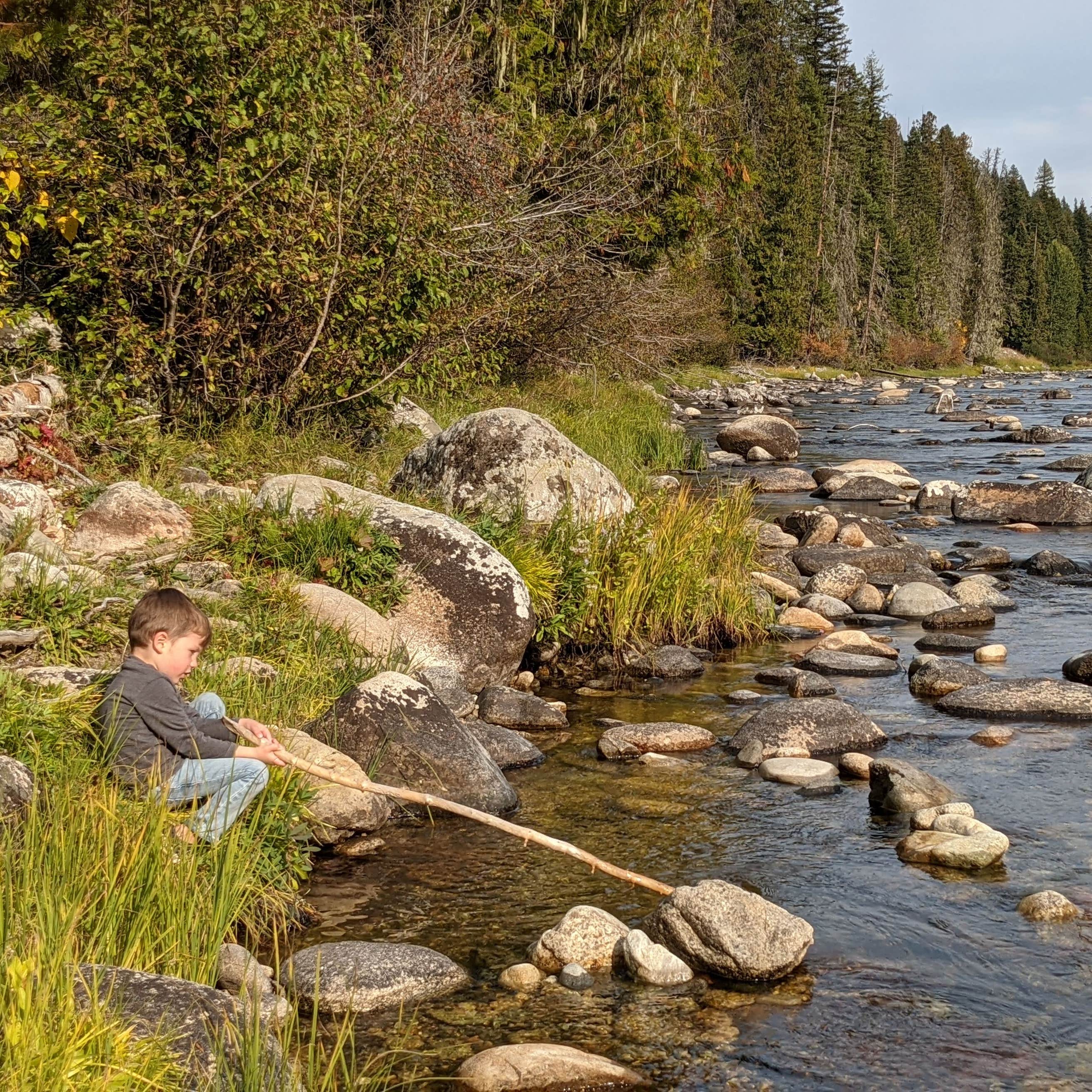 Powell Campground | Pinesdale, Montana