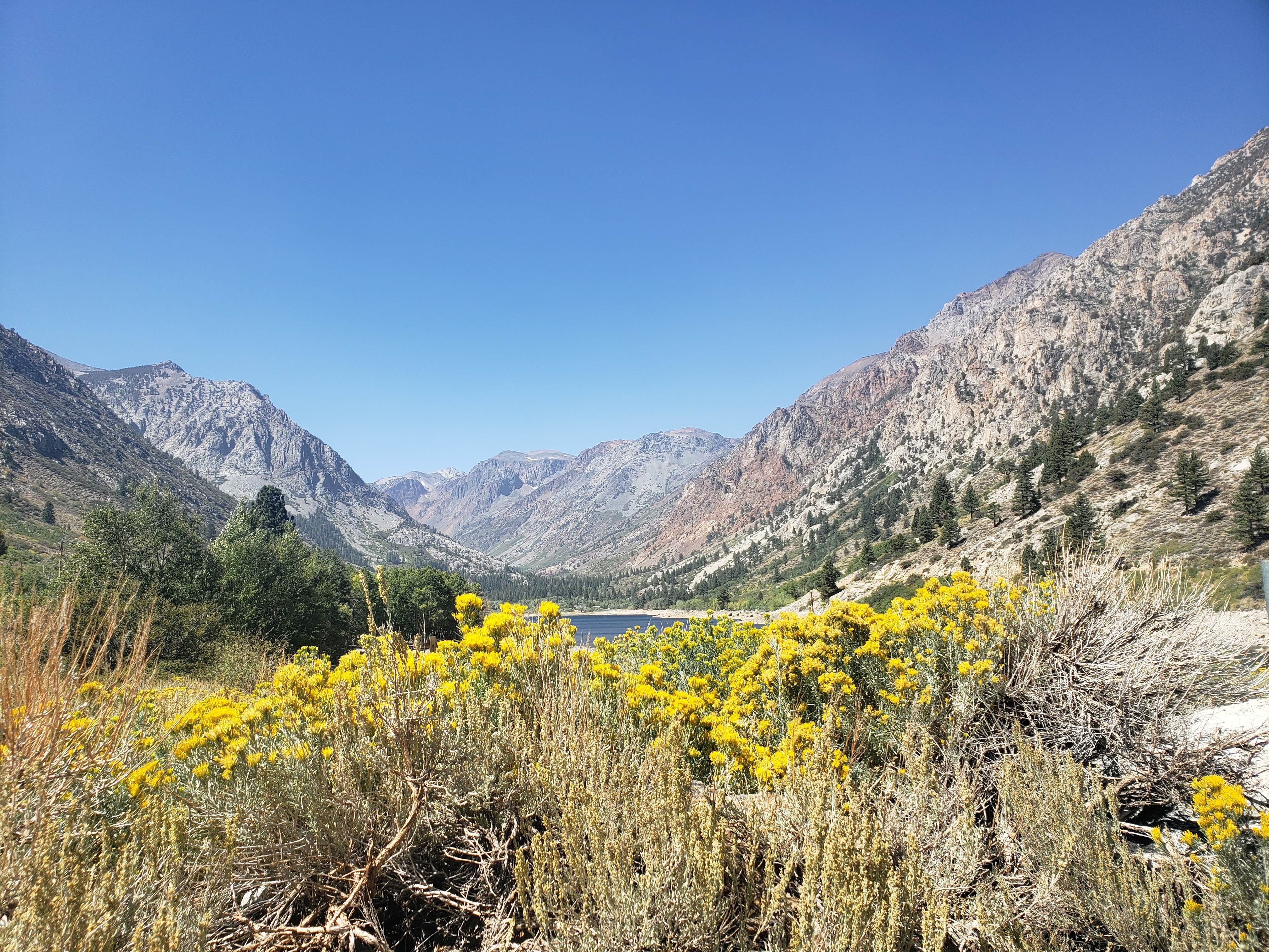 Lundy Lake Campground | The Dyrt
