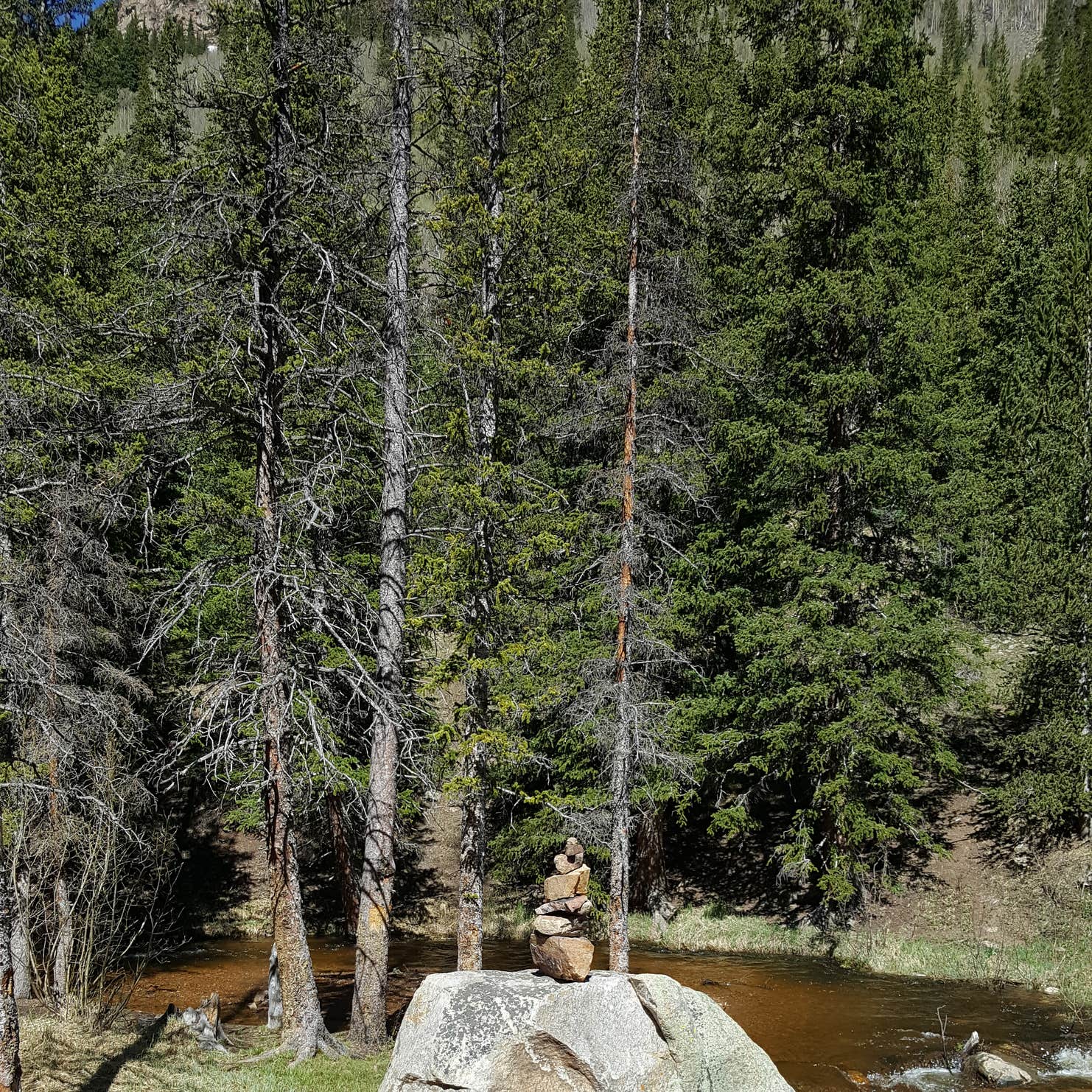 Clear Lake Camping | The Dyrt