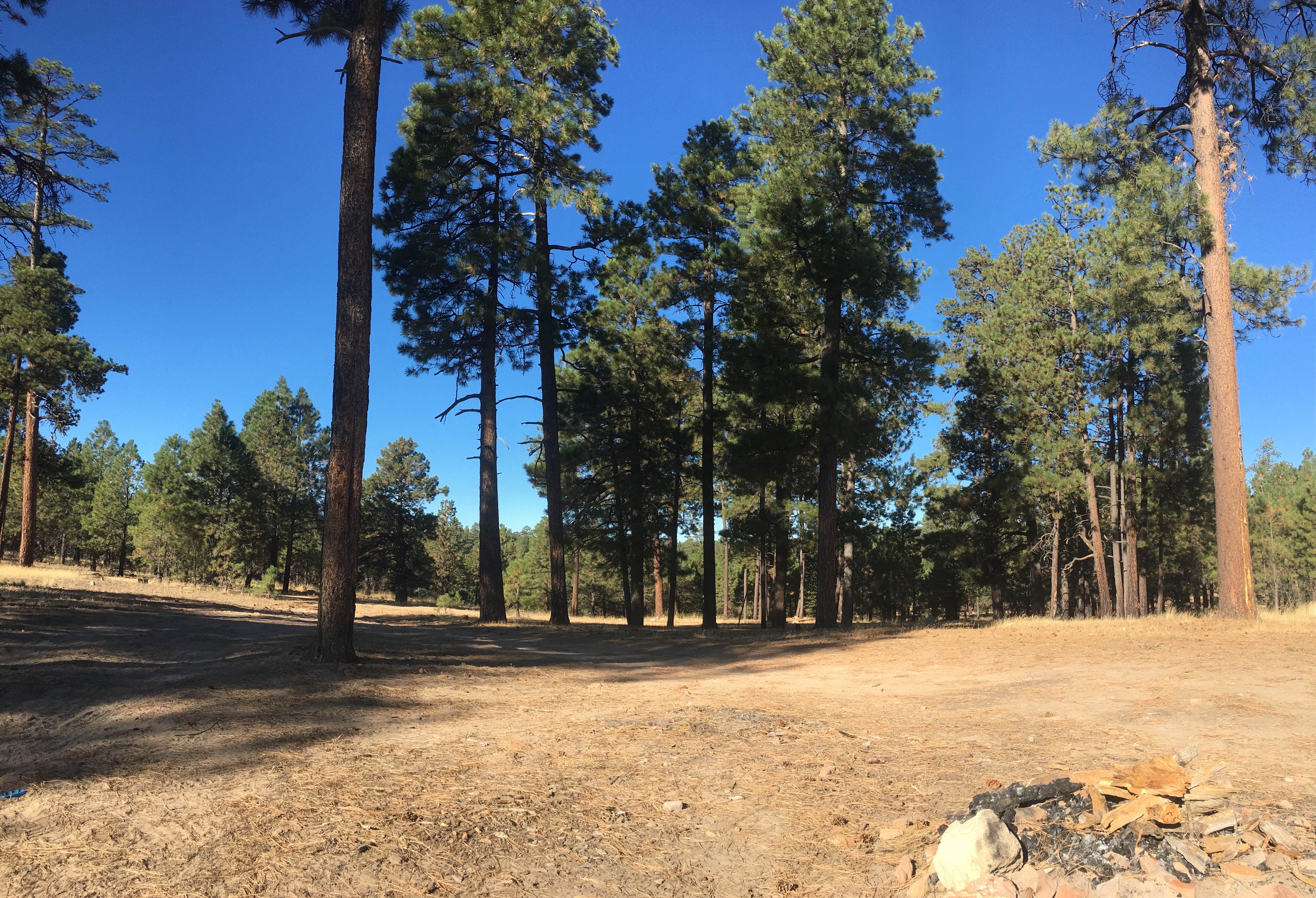 Bear Canyon Lake and Camping Area | The Dyrt