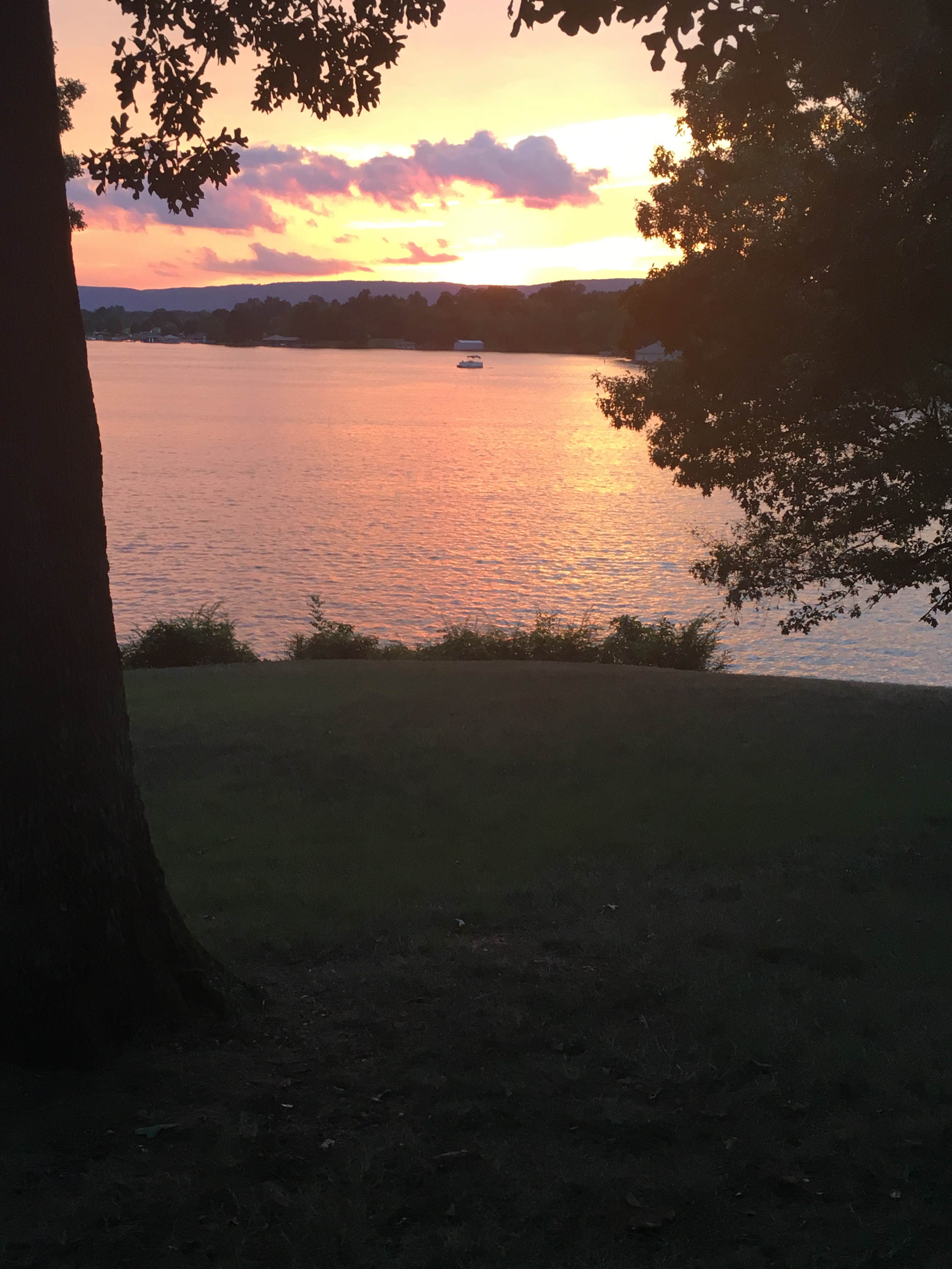 Chester Frost Park | The Dyrt