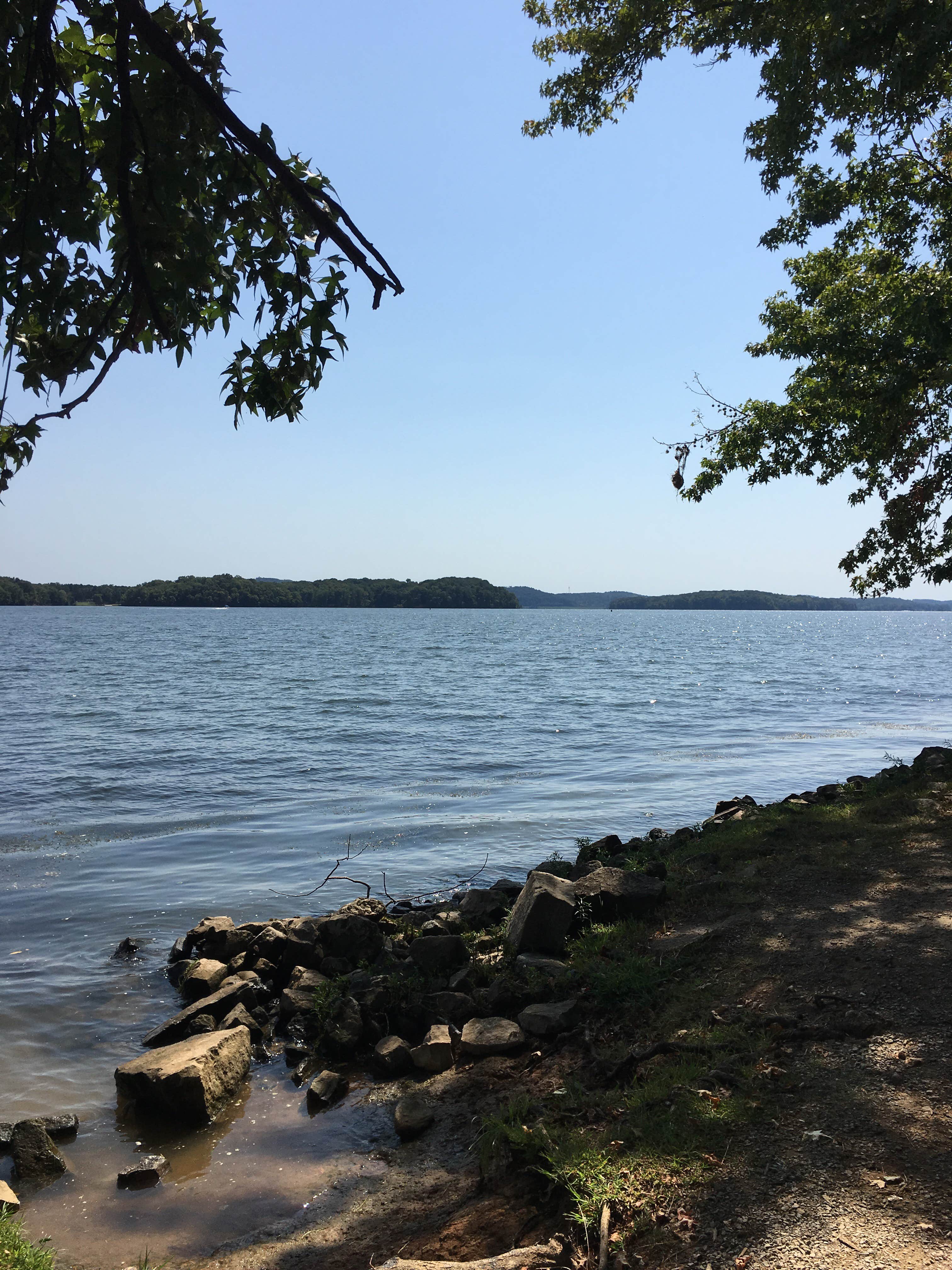 Chester Frost Park | The Dyrt