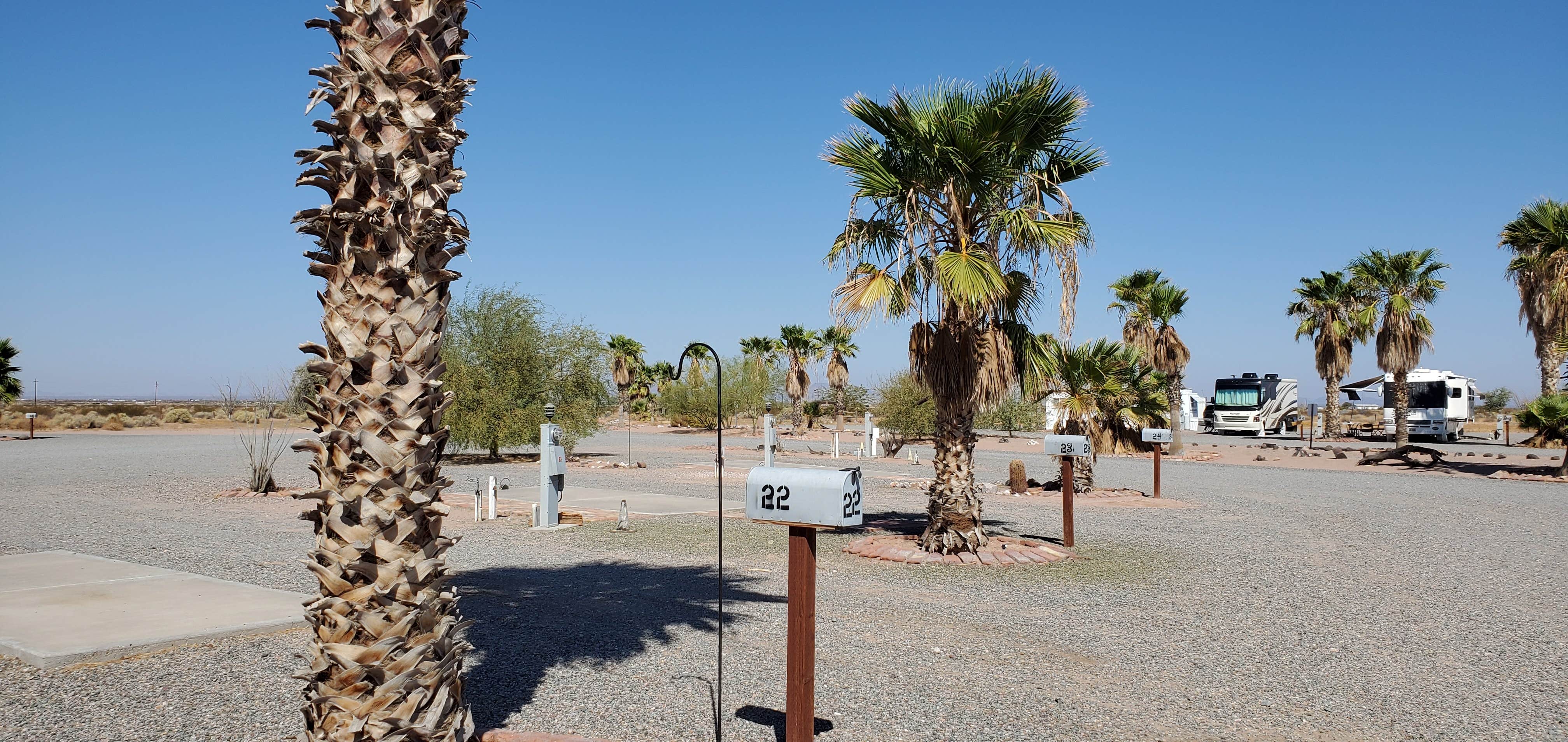 Oasis RV Park at Aztec Hills Camping | The Dyrt