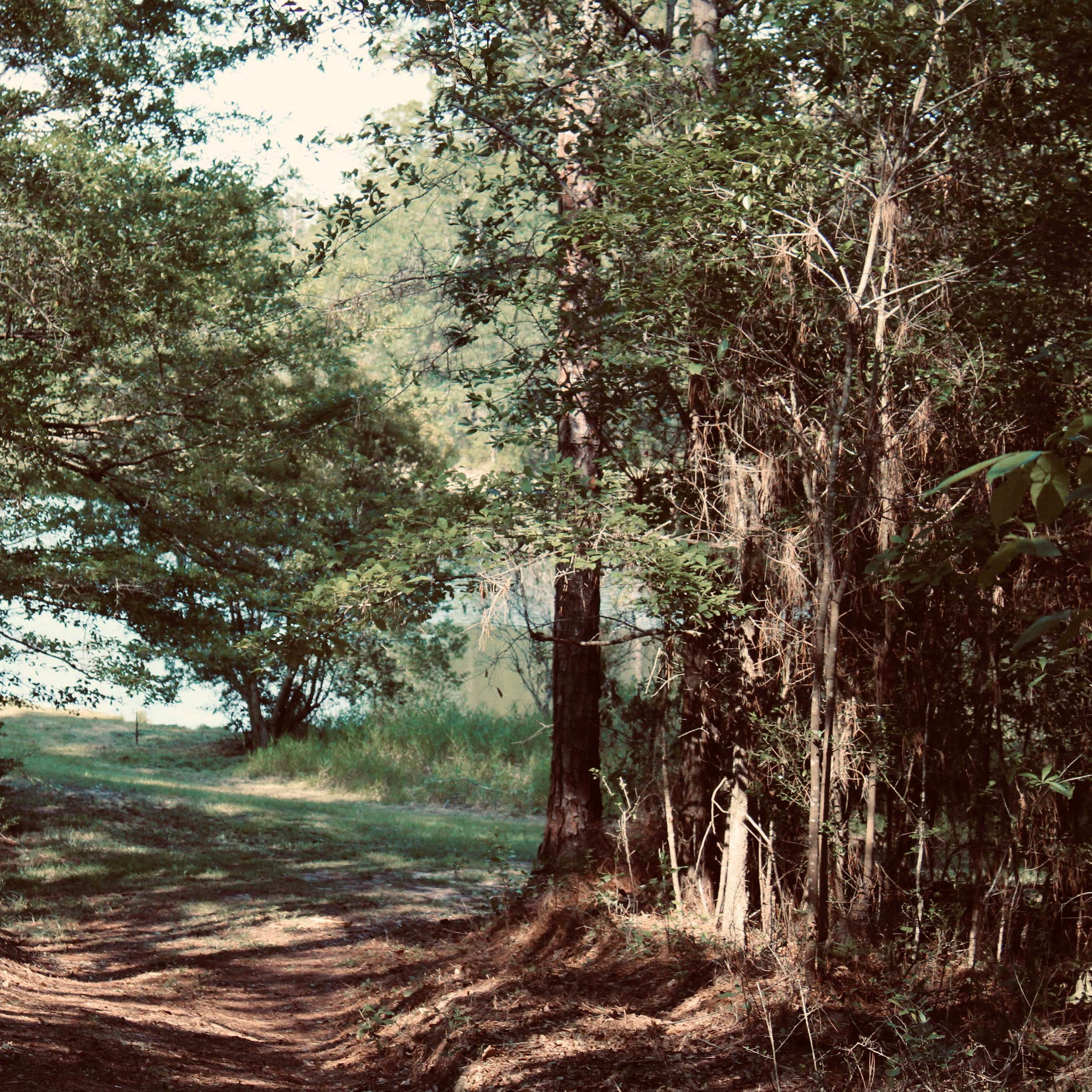 Bluff Springs Campground | Jay, Florida