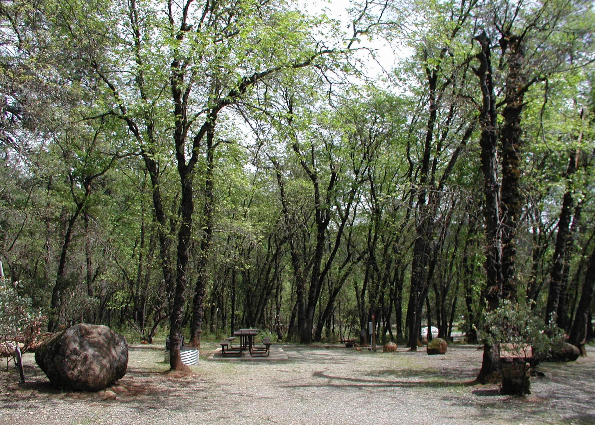 Antlers RV Park and Campground Camping | The Dyrt