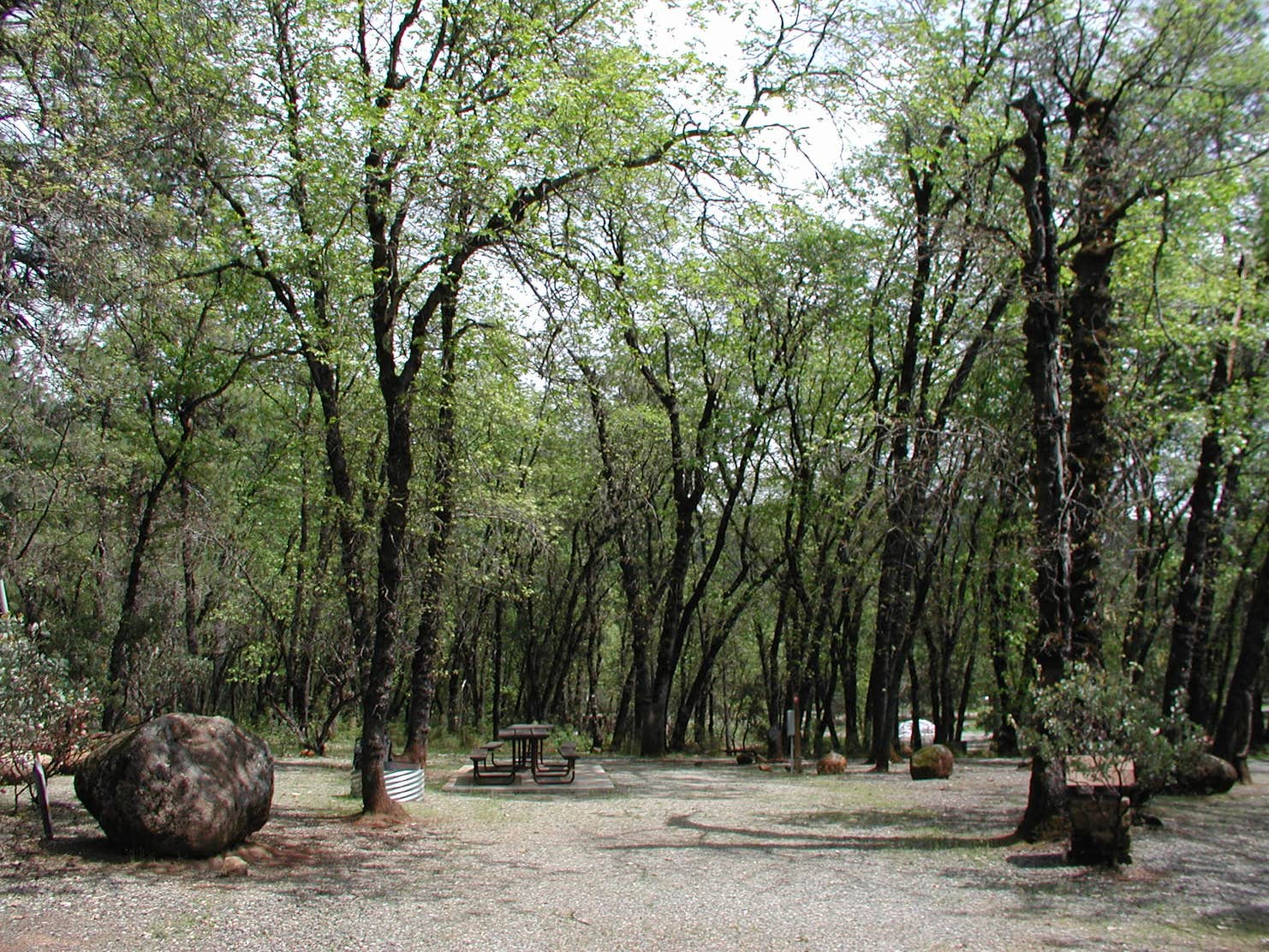 Antlers RV Park and Campground | Lakehead, CA