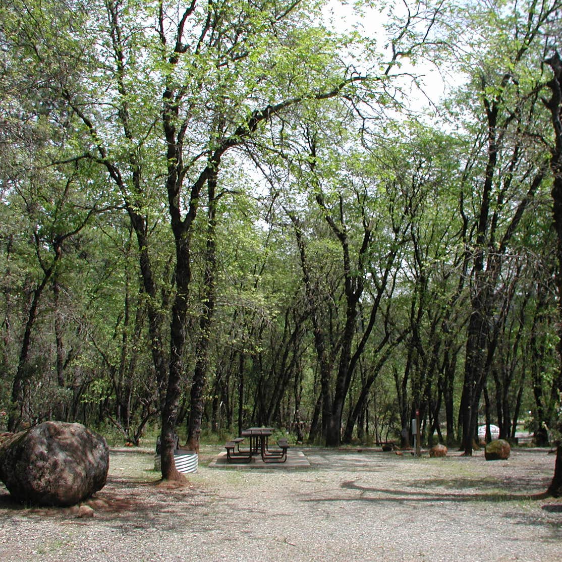 Antlers RV Park and Campground | Lakehead, California