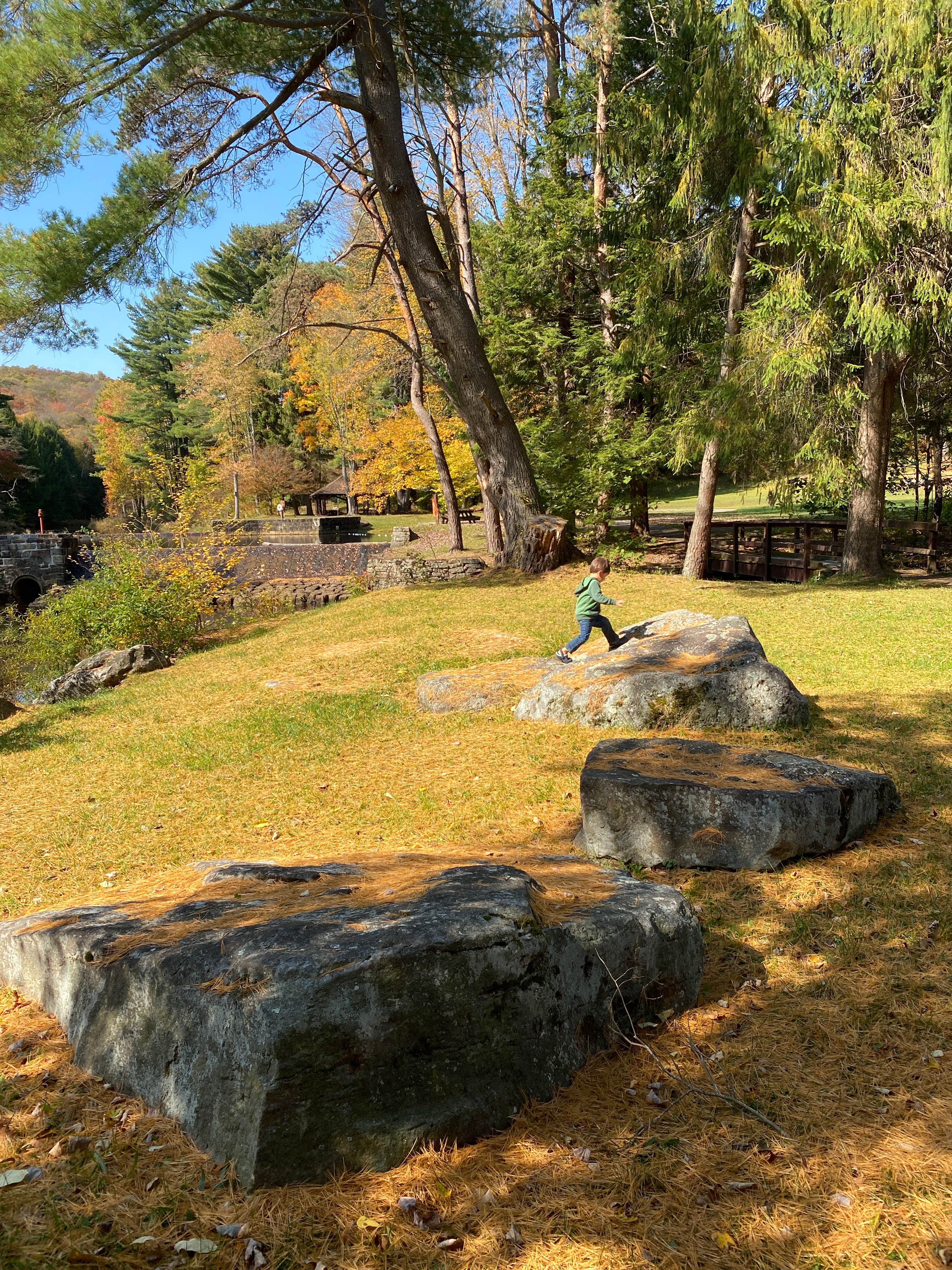 Loleta Recreation | The Dyrt