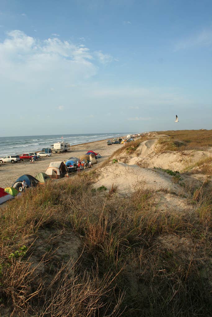 South Beach — Padre Island National Seashore Camping | Corpus Christi, TX