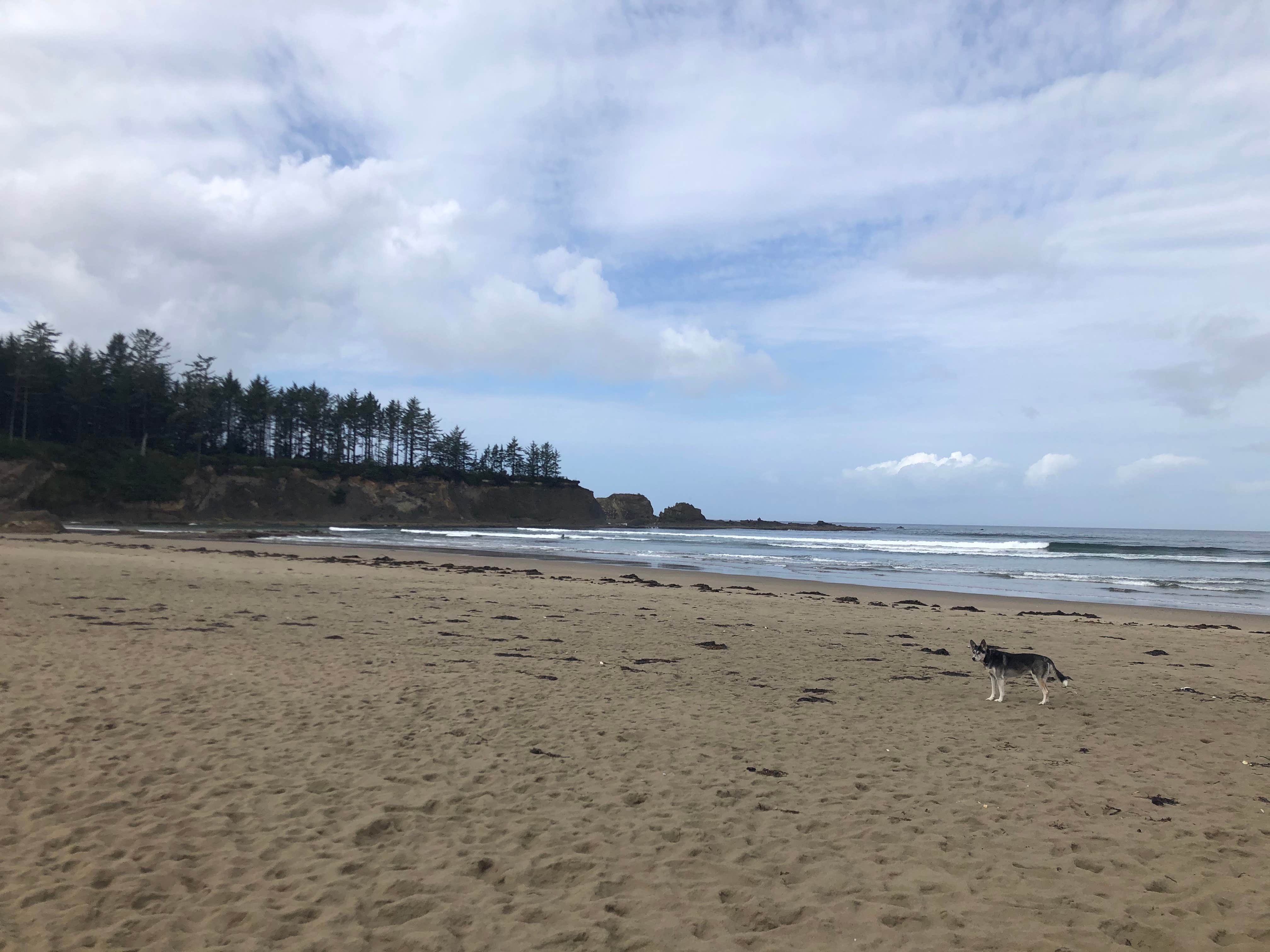 Oceanside RV Resort & Campground Camping | The Dyrt