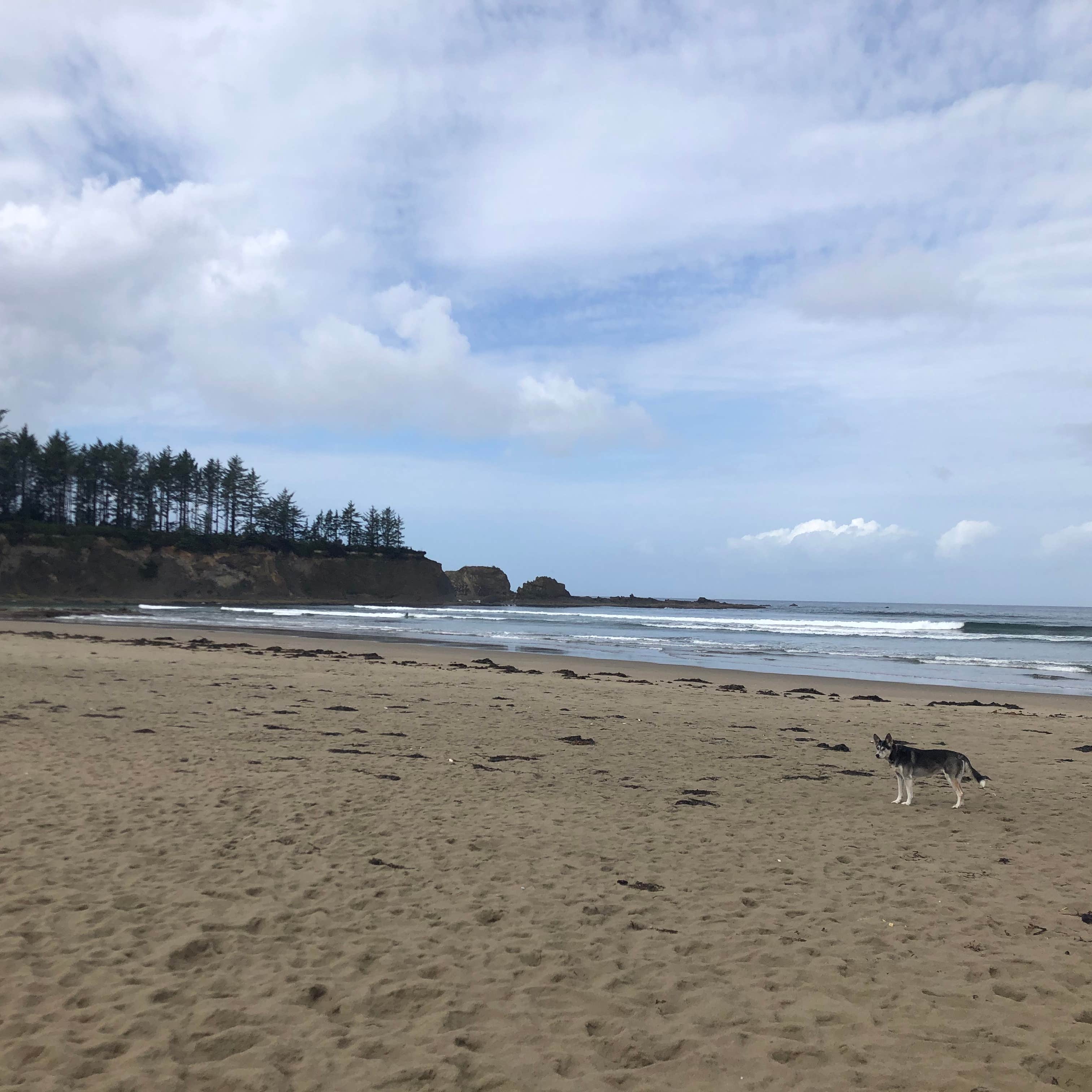 Sun Outdoors Coos Bay Camping | The Dyrt