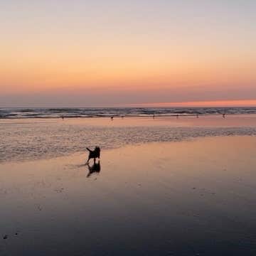 Copalis Beach RV Resort Camping | The Dyrt