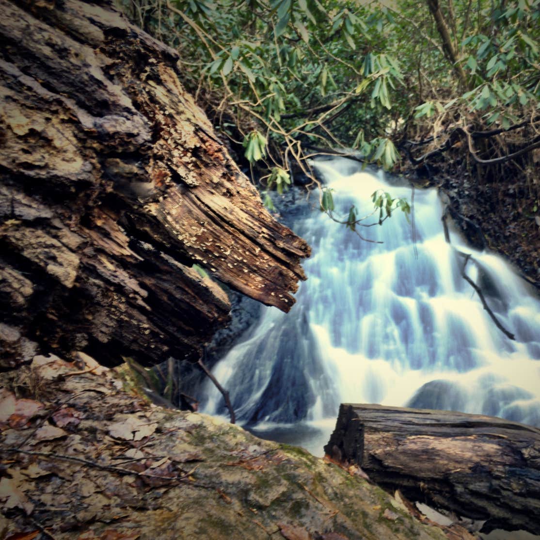 Paris Mountain State Park Camping | The Dyrt