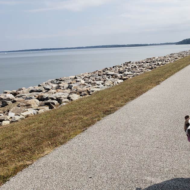 Carlyle Lake Campgrounds | Carlyle, Illinois