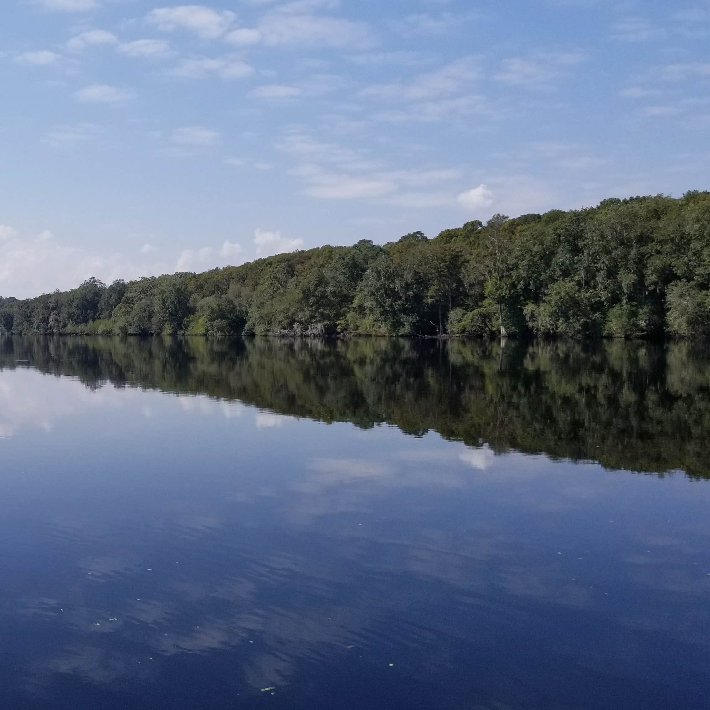 Otter Springs Resort Park and Campground Camping | The Dyrt