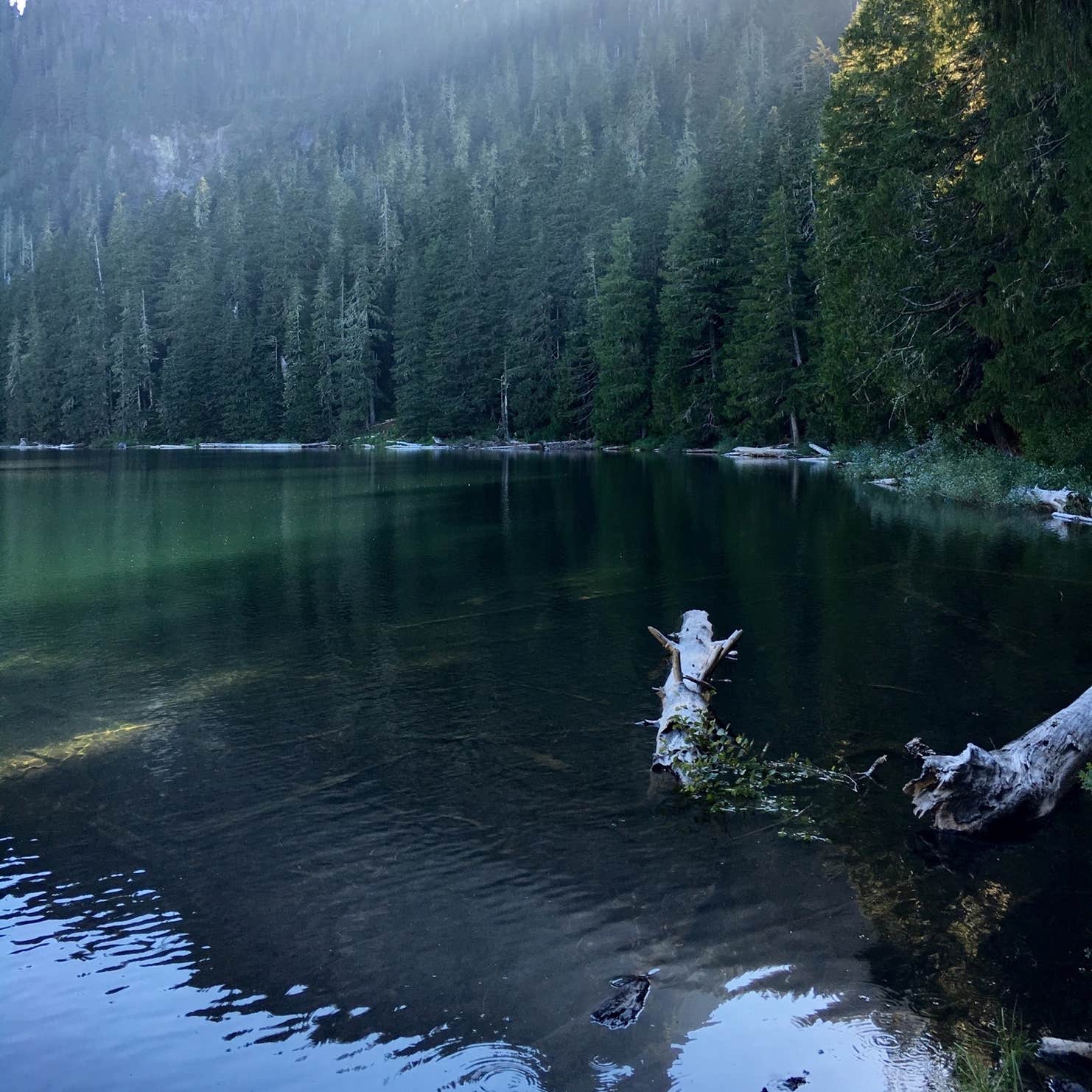 Cora Lake Back Country Camping | Longmire, Washington