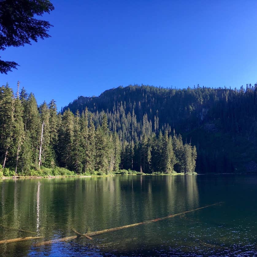 Cora Lake Back Country Camping | Longmire, Washington