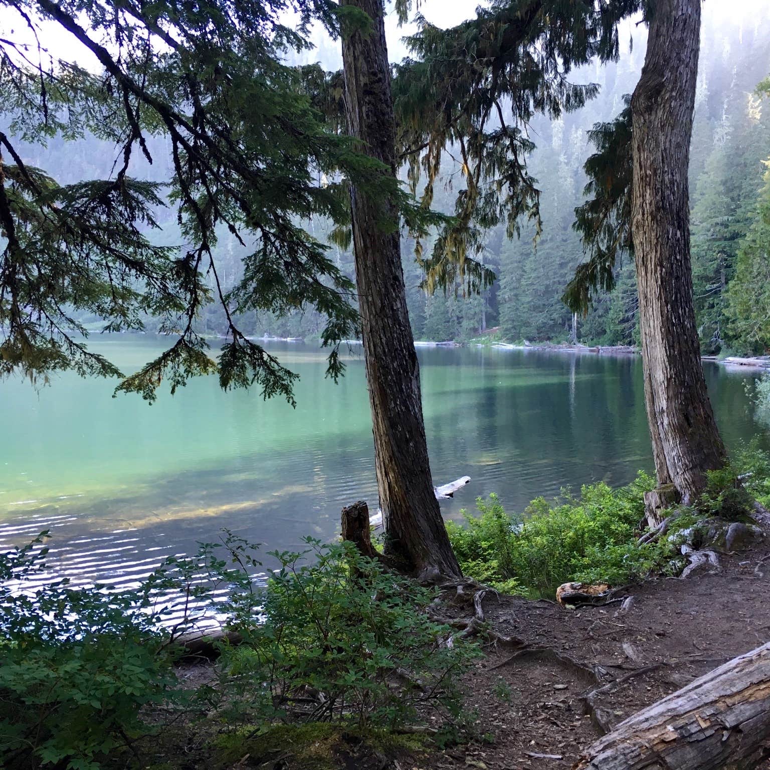 Cora Lake Back Country Camping | Longmire, Washington