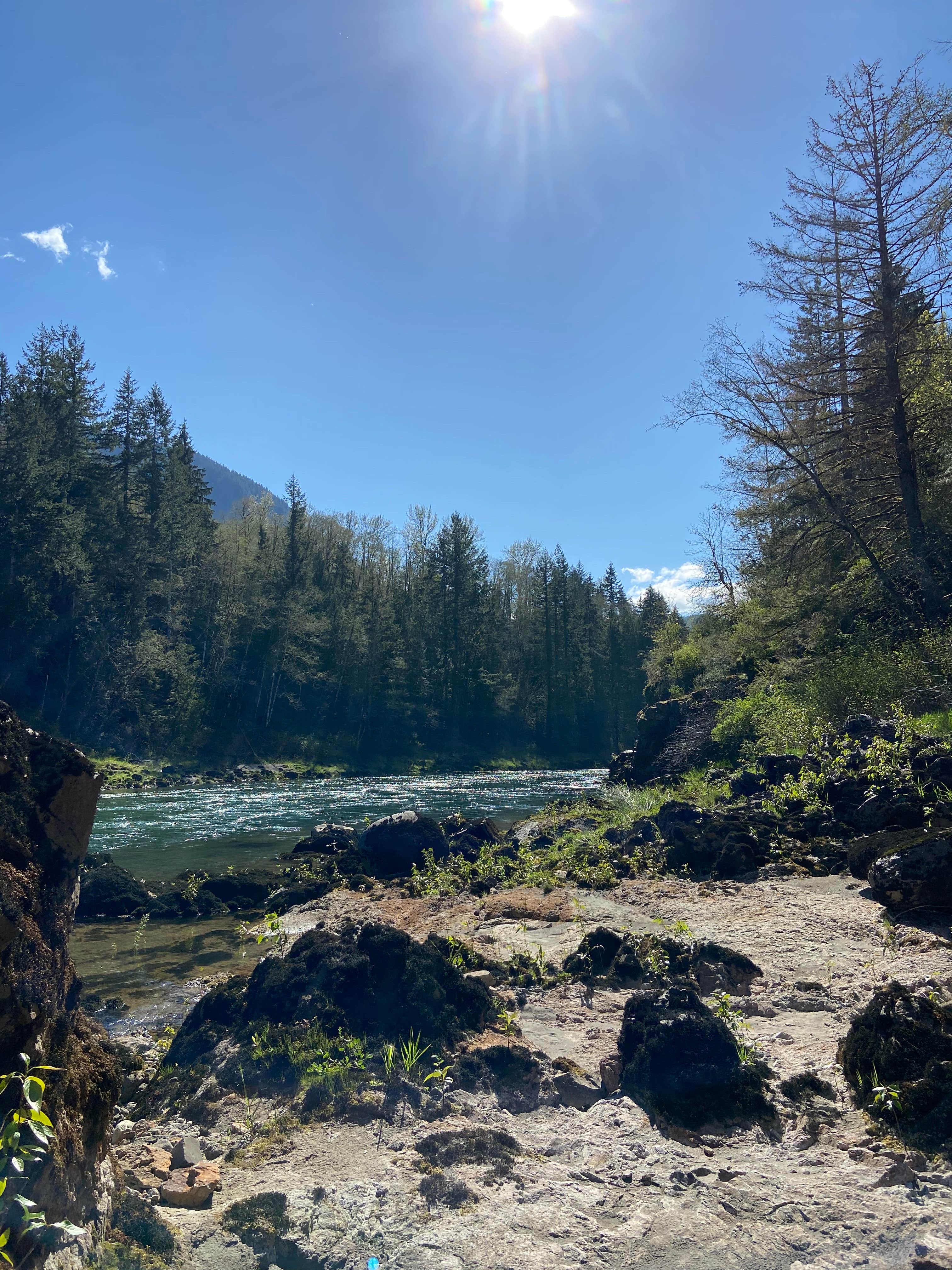 Cowlitz Falls Campground | Randle, Washington