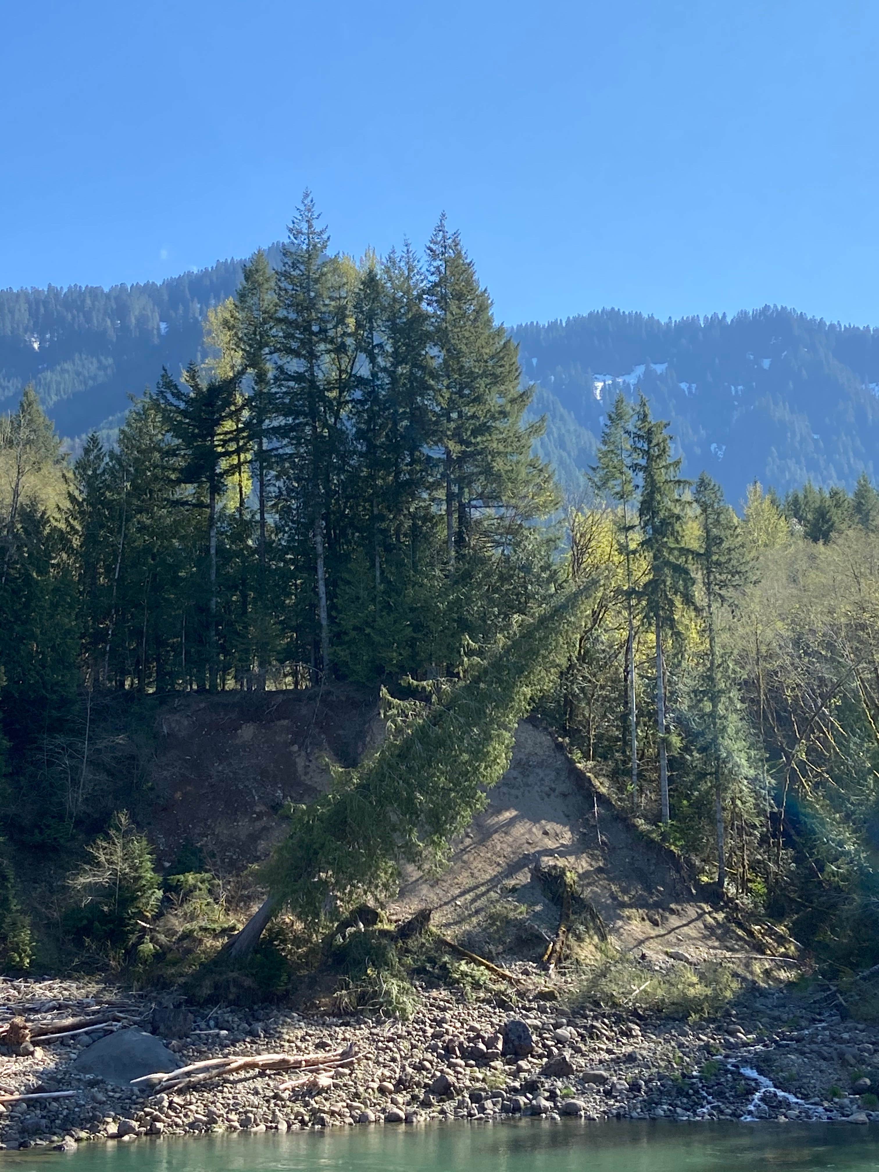 Cowlitz Falls Campground | The Dyrt