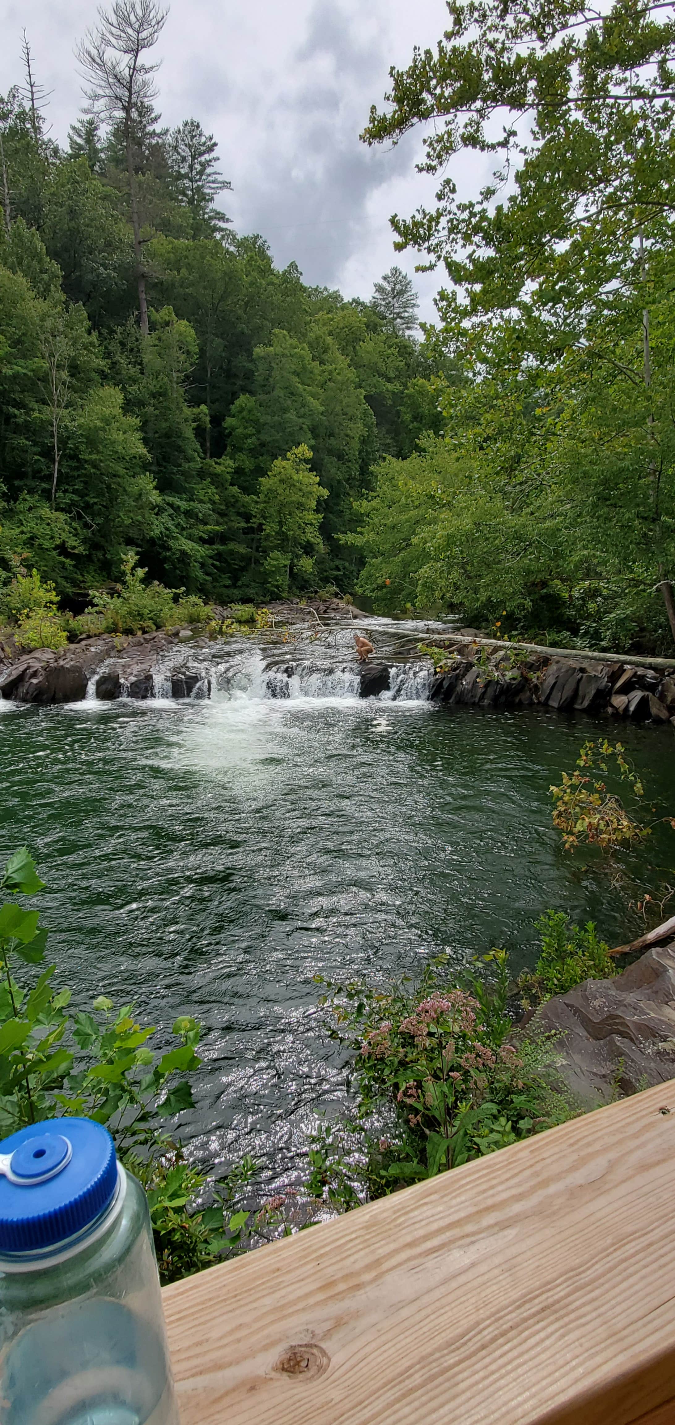 Lake Santeetlah | The Dyrt