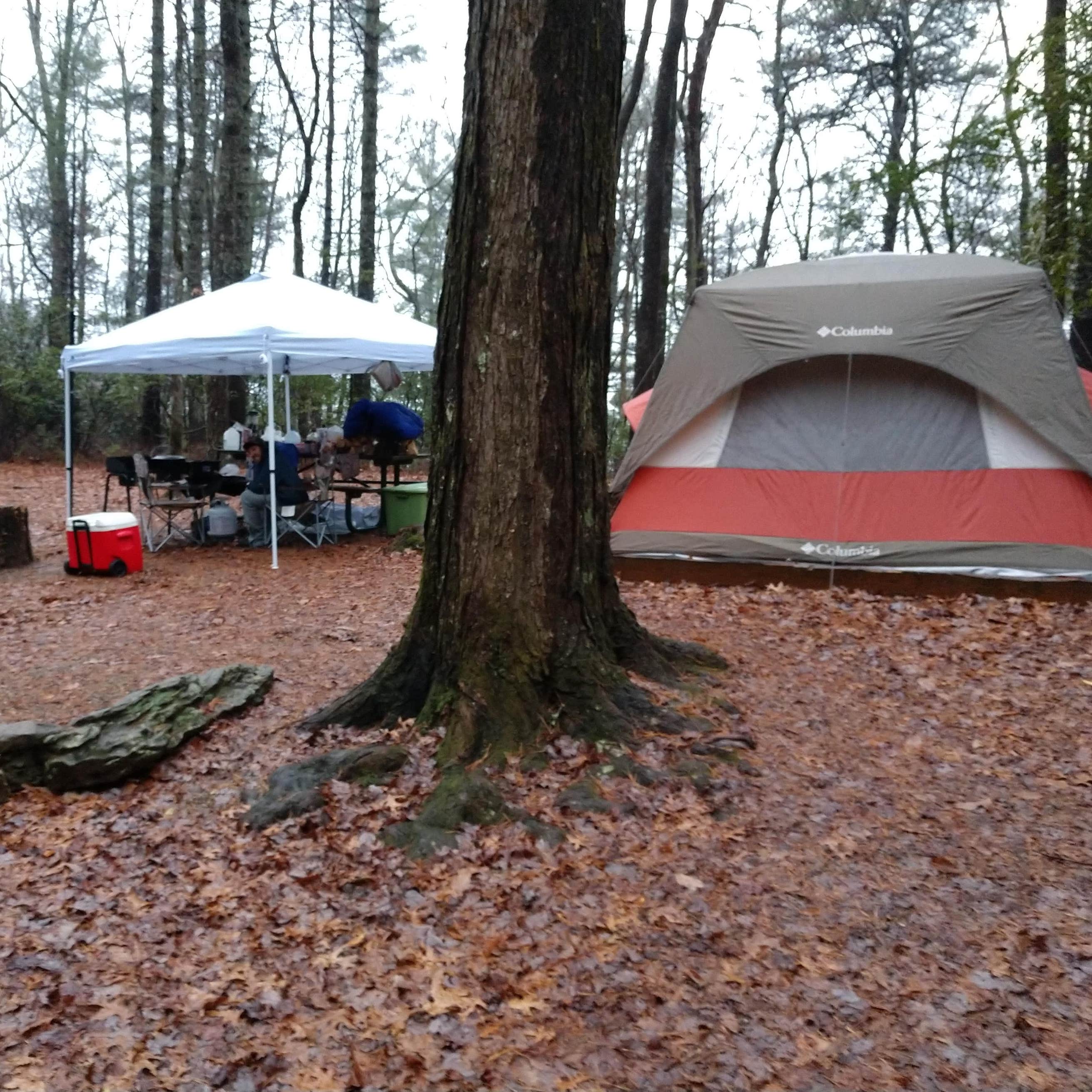 Dockery Lake Campground Camping | The Dyrt