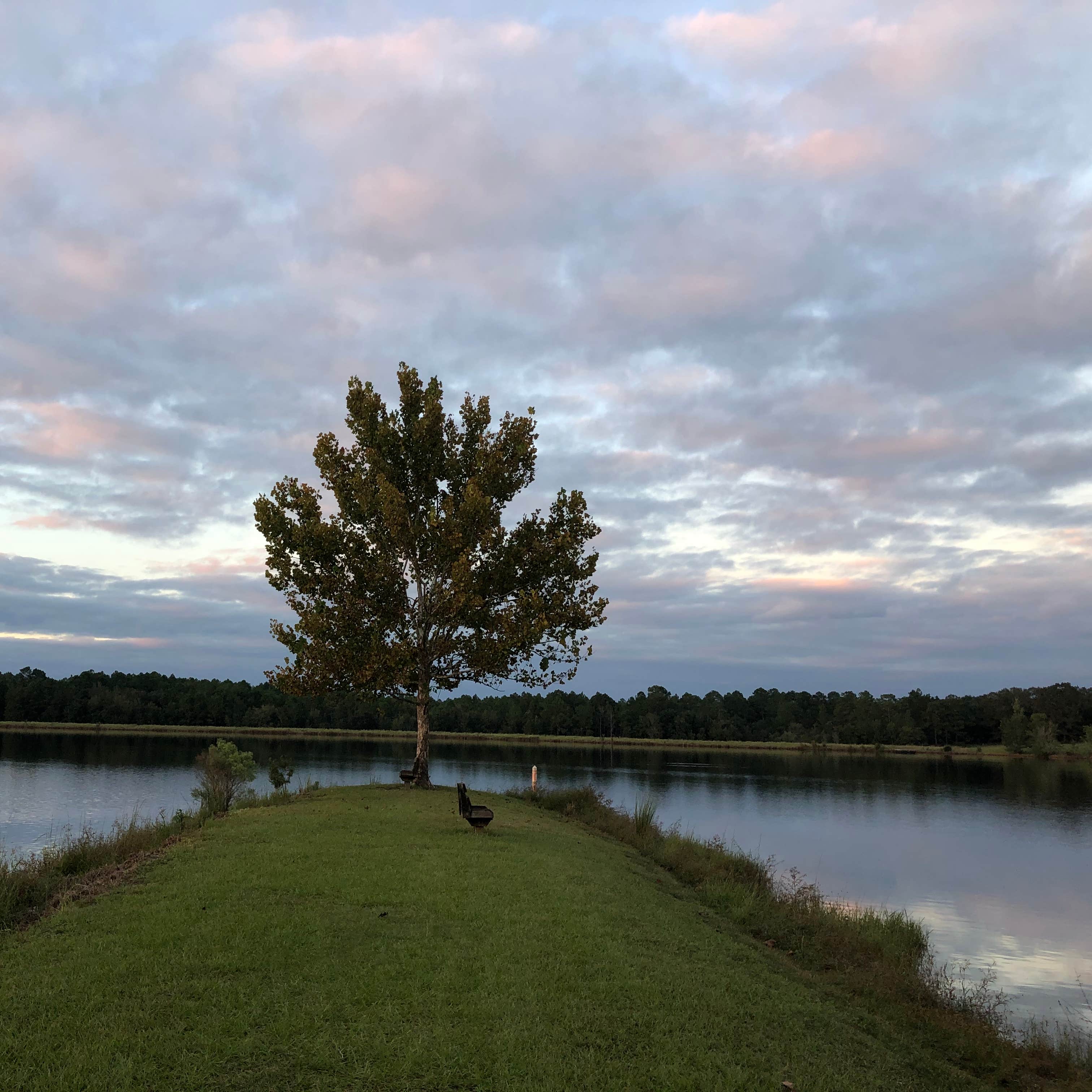 South Hurricane Lake Recreation Area Camping | The Dyrt