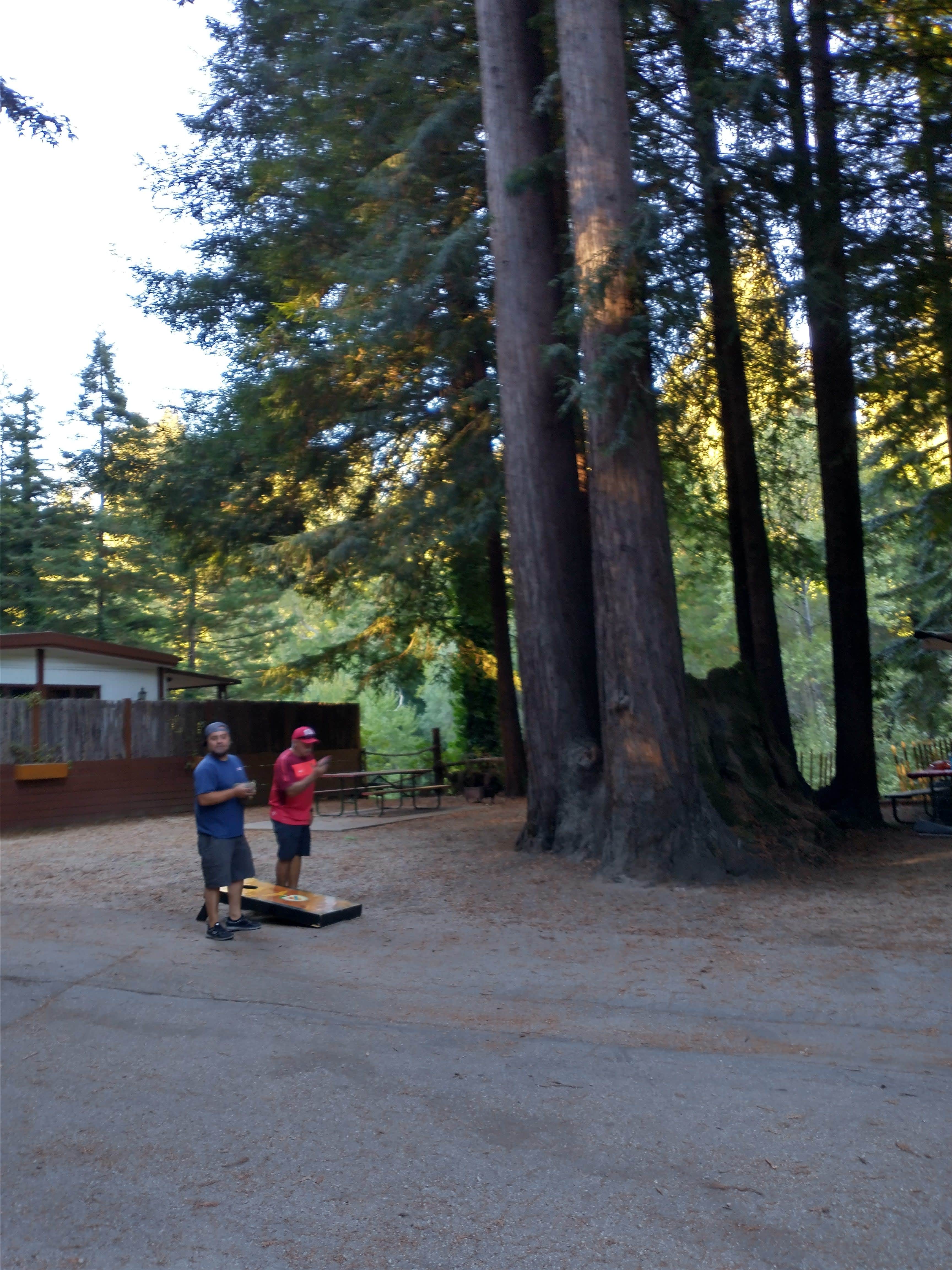 Smithwoods RV Park | Felton, California