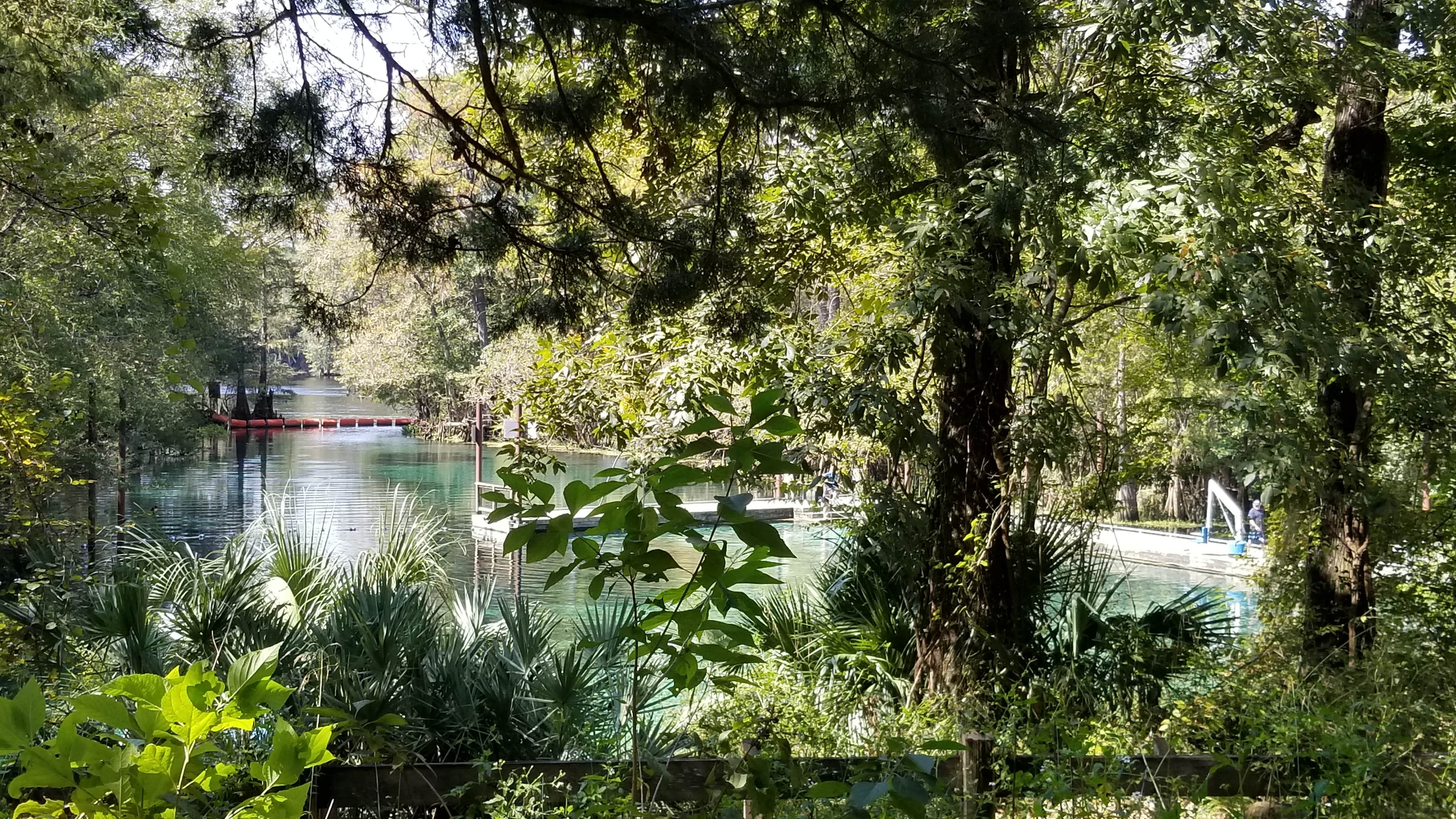 Fanning Springs State Park | The Dyrt