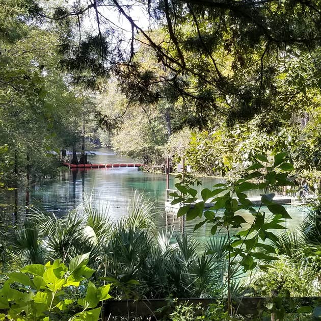 Fanning Springs State Park Campground | Fanning Springs, Florida