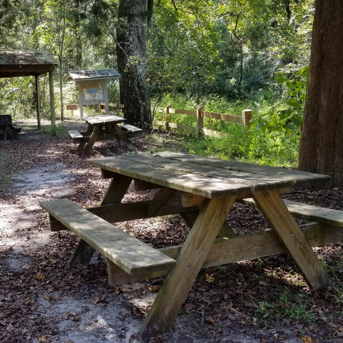 Fanning Springs State Park Campground | Fanning Springs, Florida