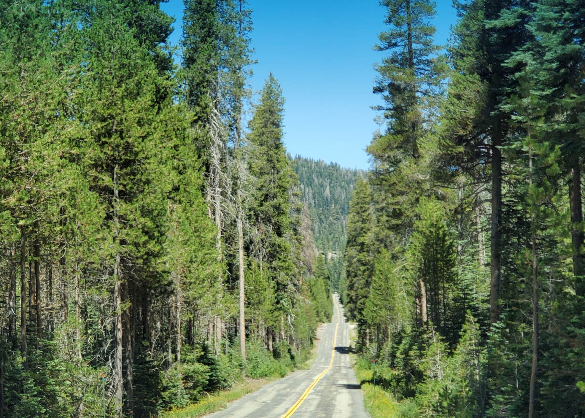 Wishon Village RV Resort Camping | The Dyrt