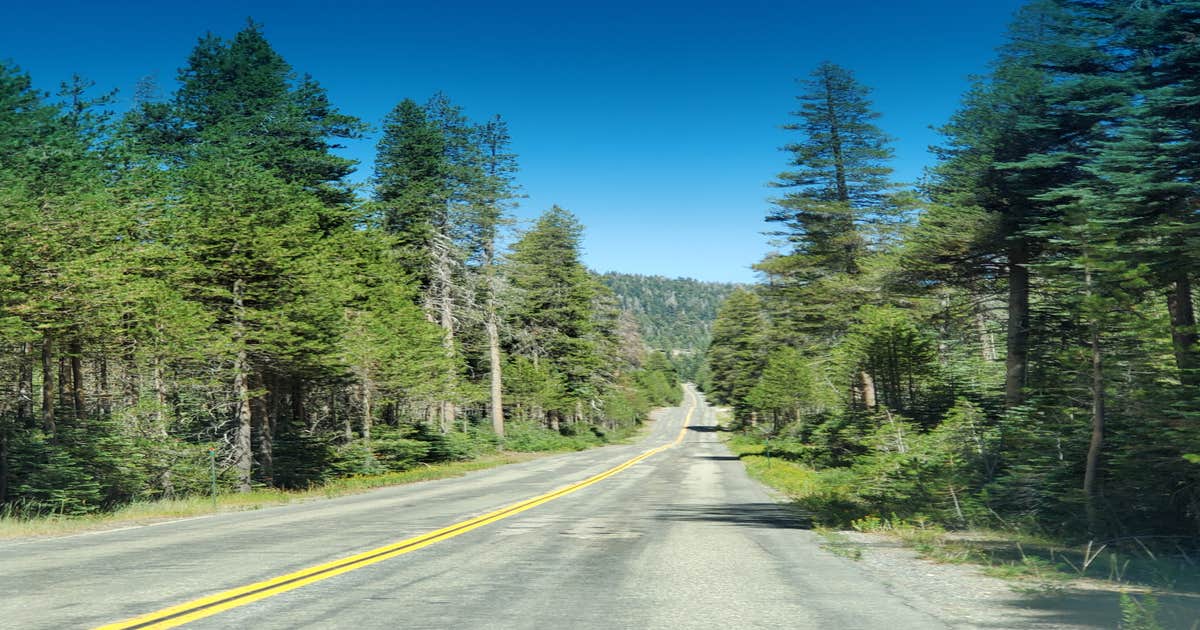 Wishon Village RV Resort Camping | The Dyrt