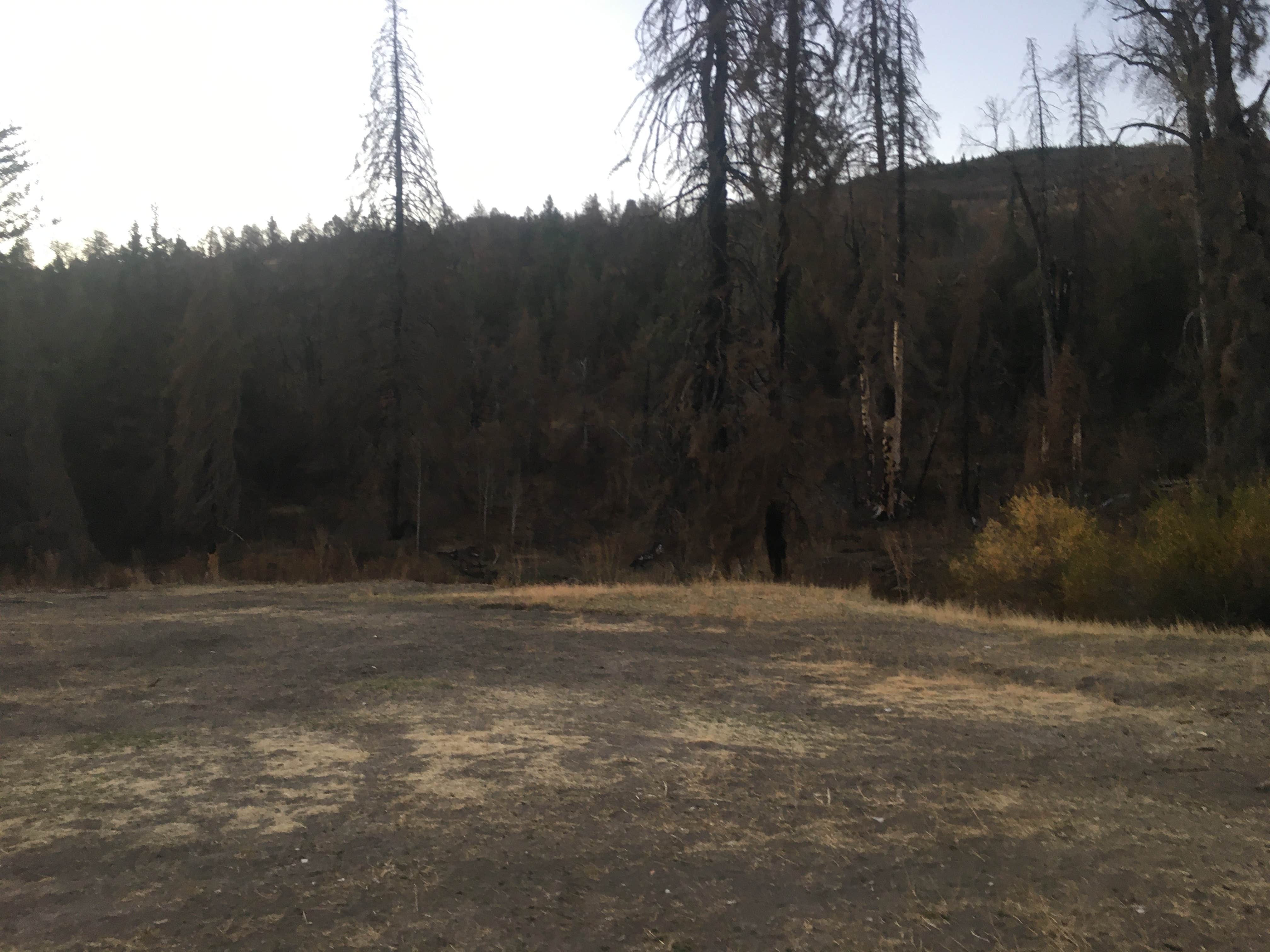 Skyline Drive Camping | Mapleton, UT