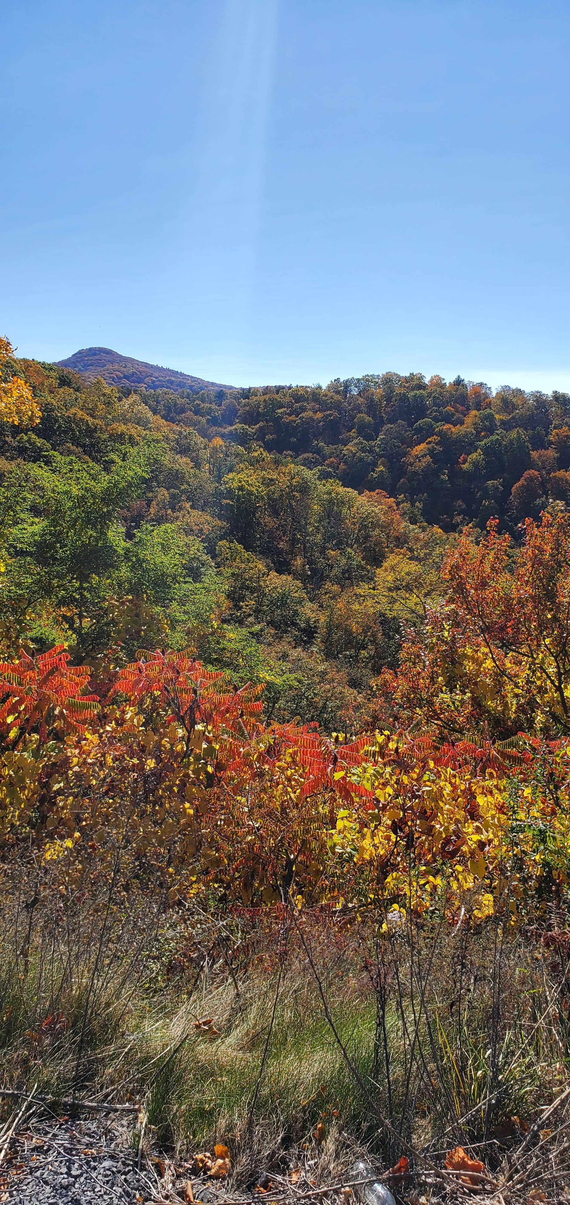 Switzer Lake Dispersed Camping | Brandywine, West Virginia