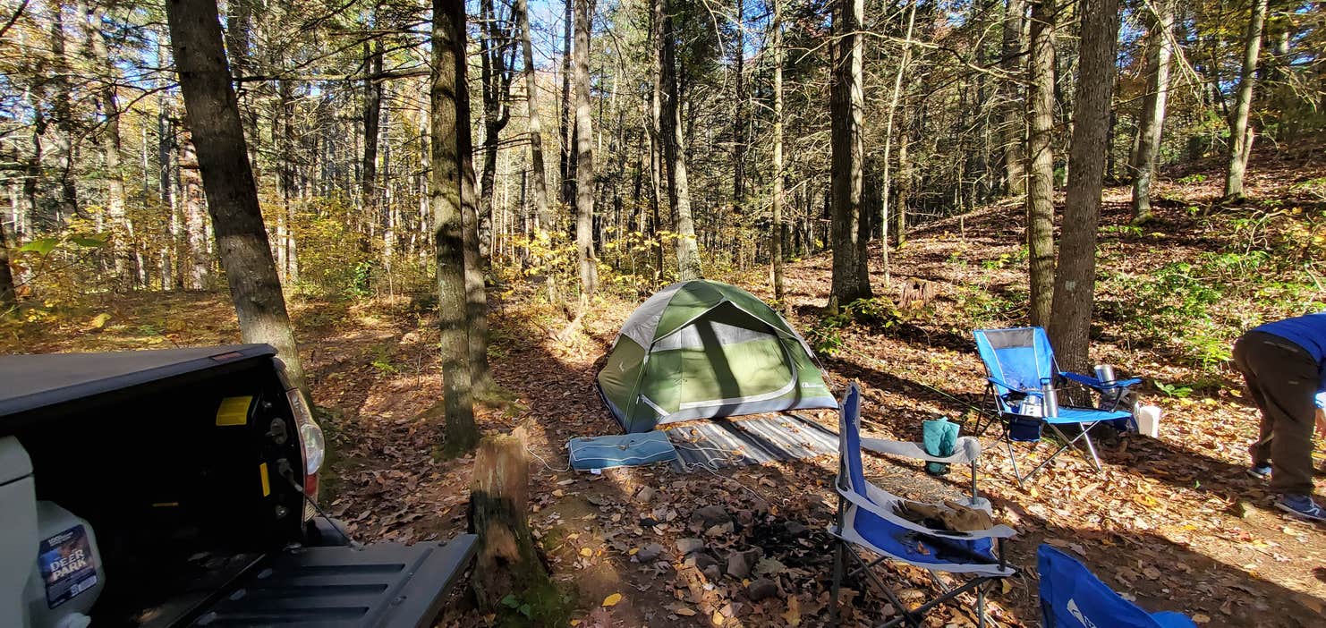 Switzer Lake Dispersed Camping | The Dyrt