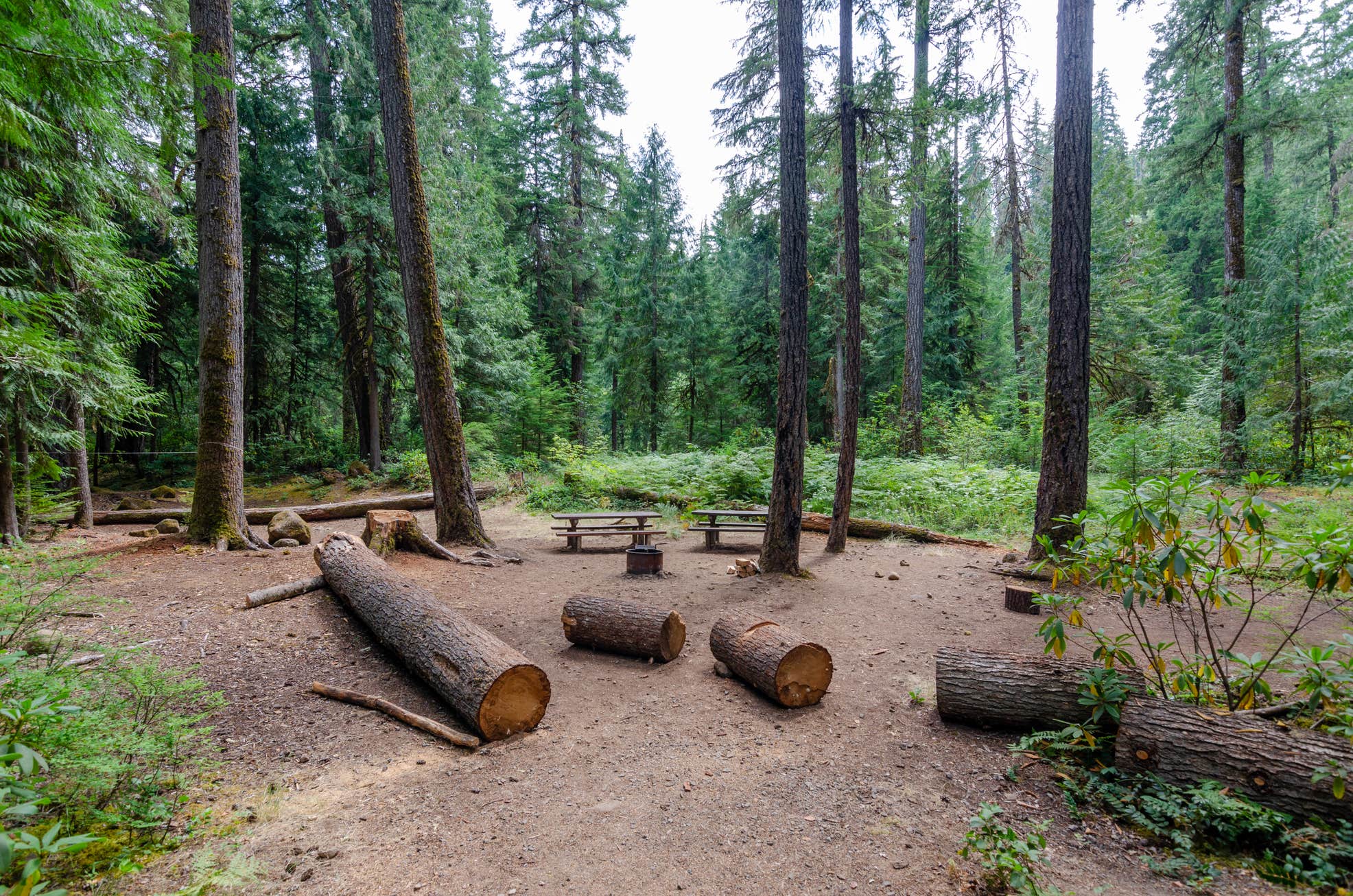 Whispering Falls Campground | The Dyrt