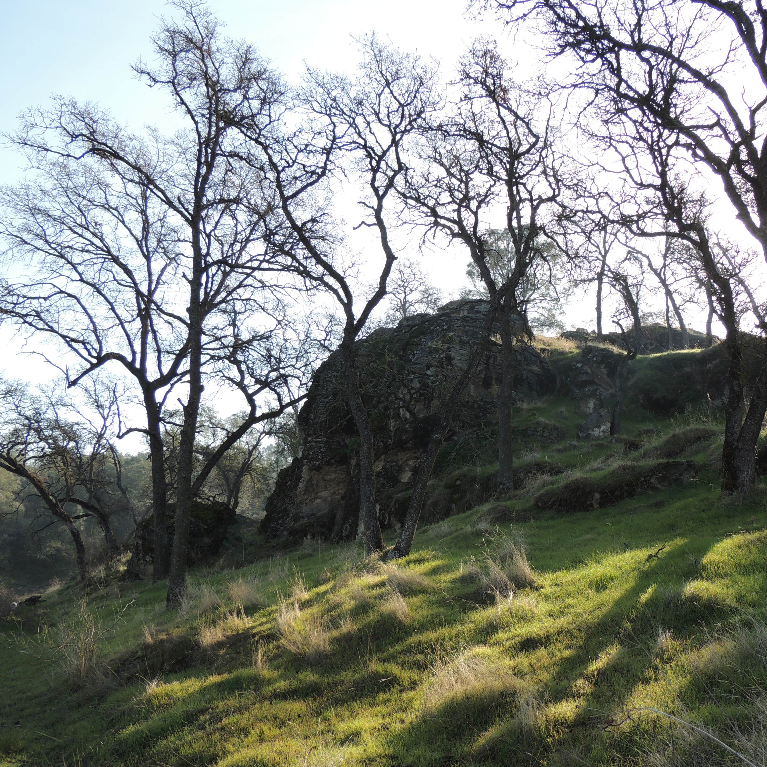 Lake Camanche Camping | The Dyrt