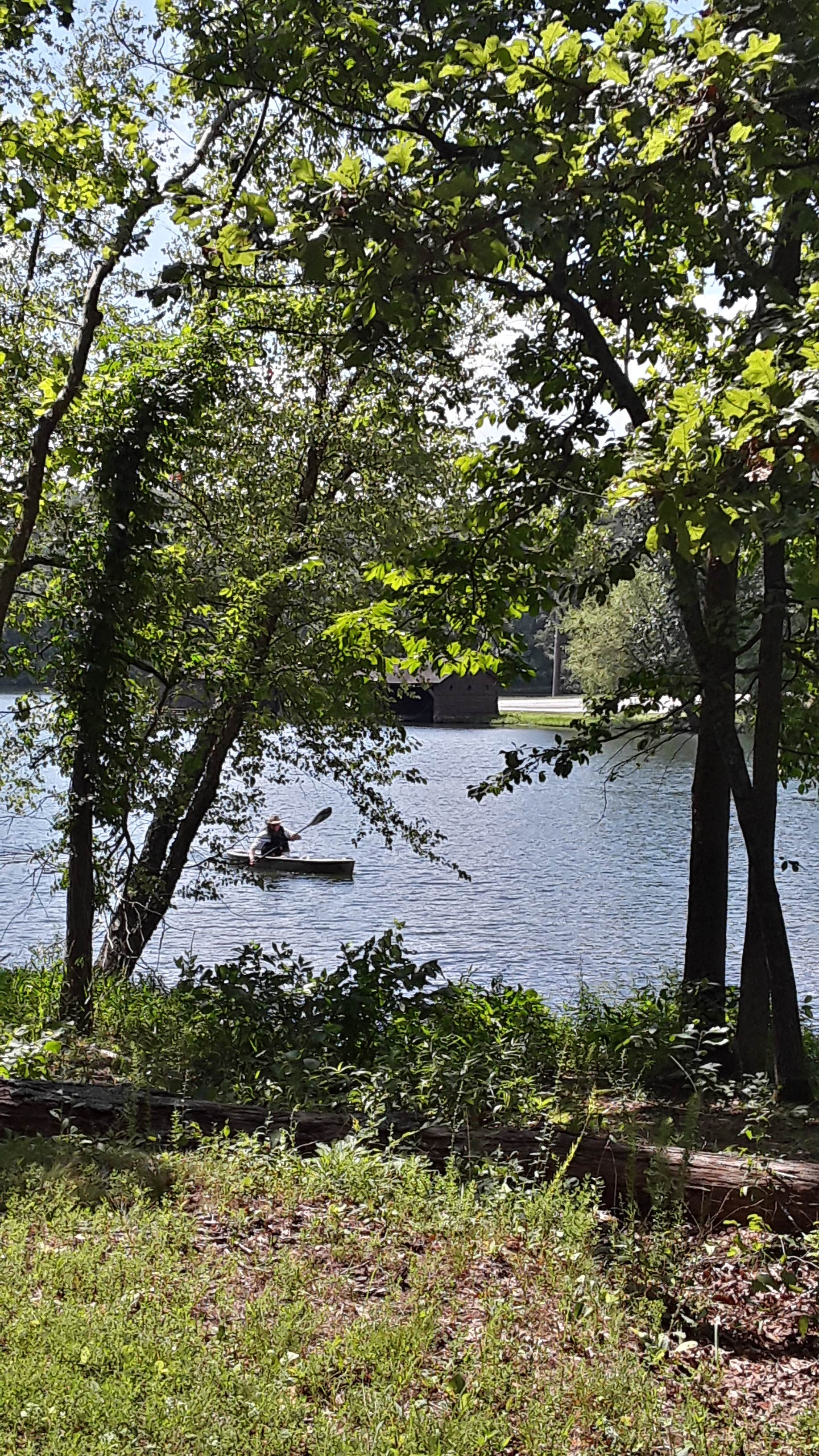 Lake Wedington | The Dyrt