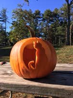 Normandy Farms Campground | The Dyrt