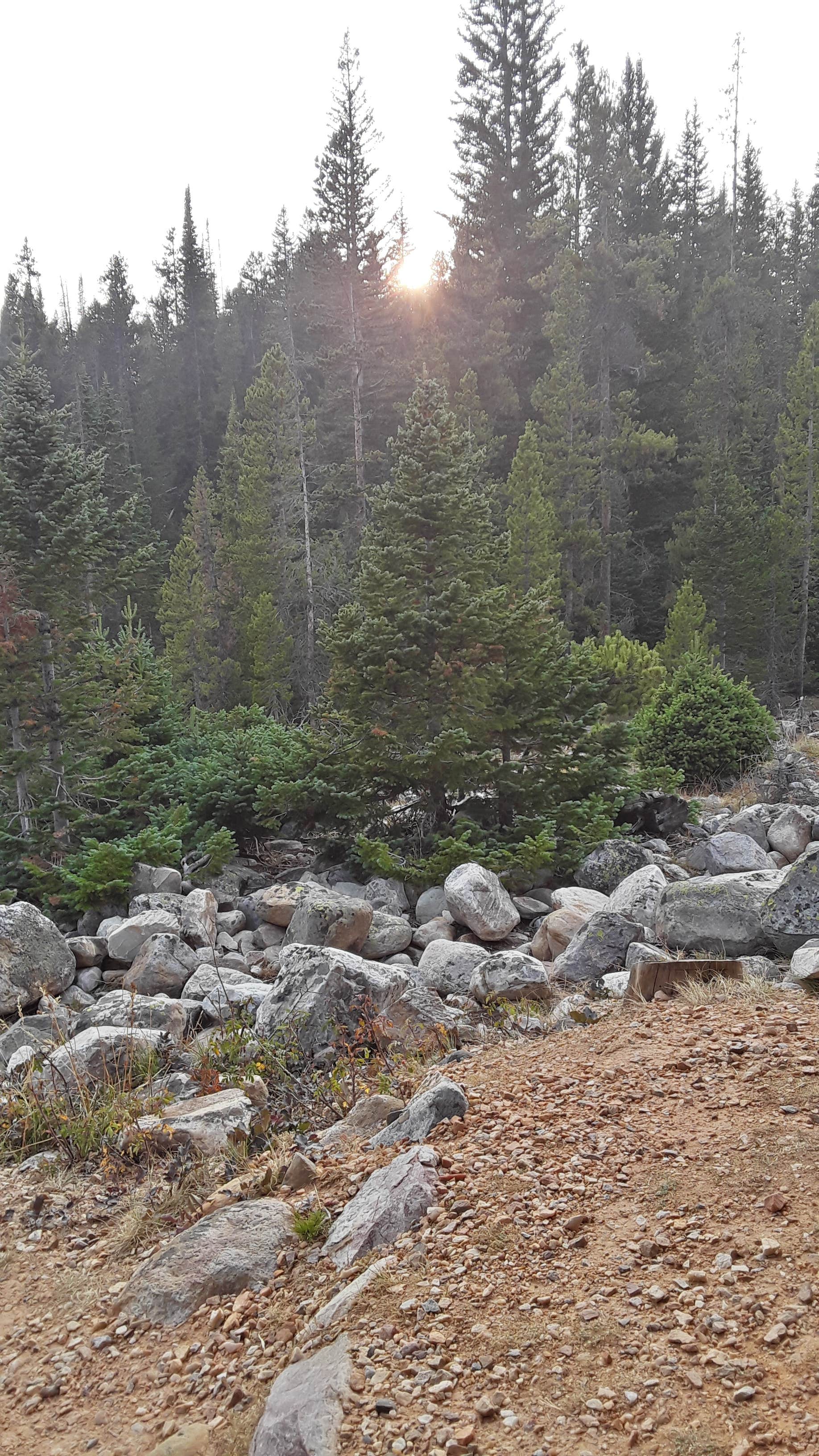 North Fork Campground | Lysite, WY