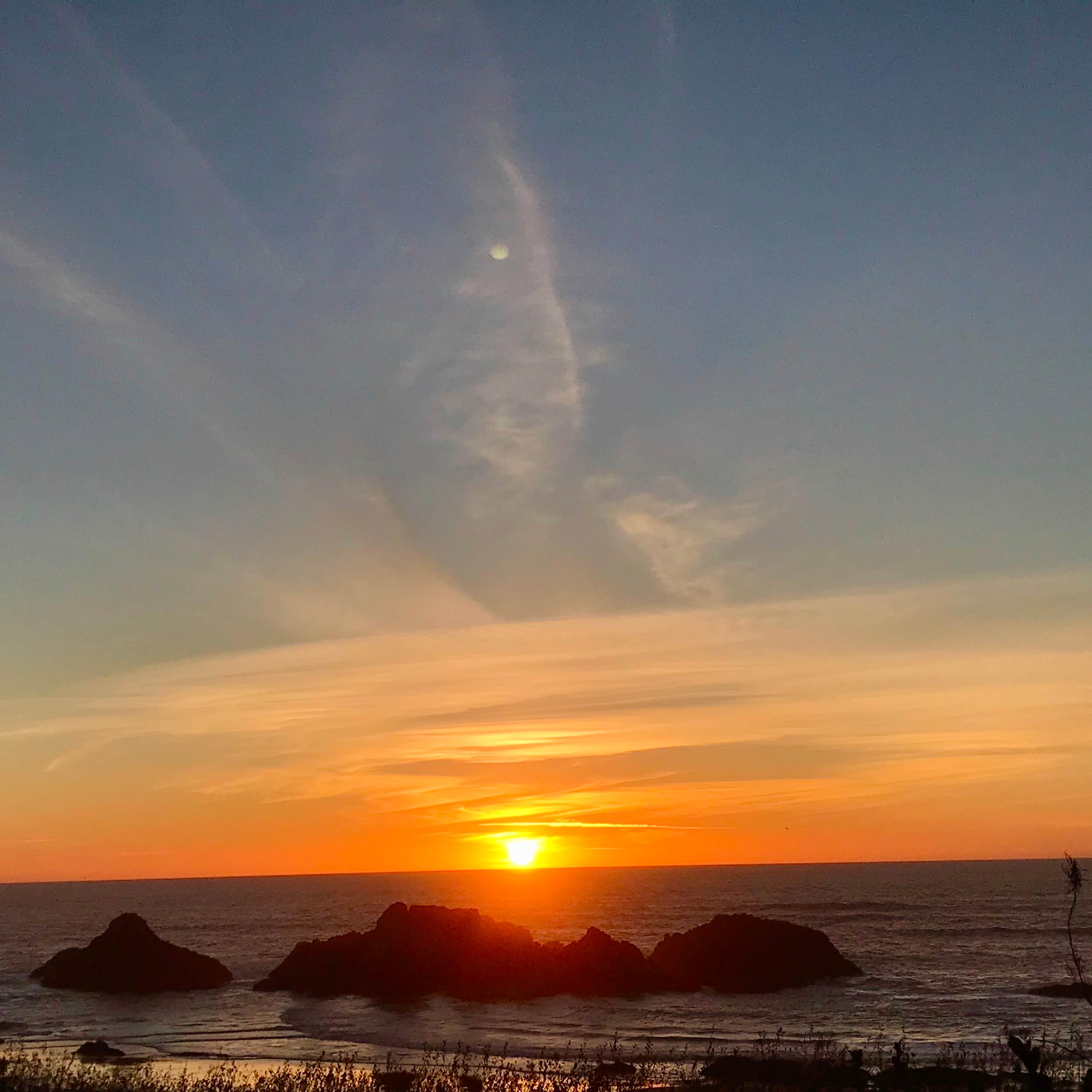 Seal Rocks RV Cove Camping | The Dyrt