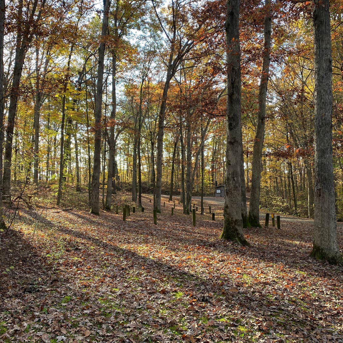 Burr Oak Cove Campground | Glouster, Ohio