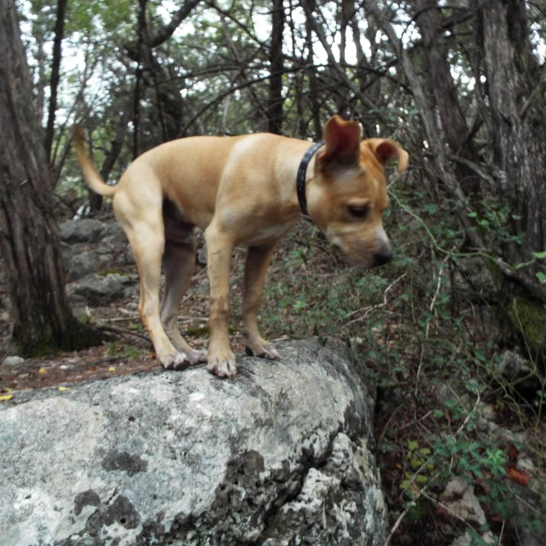 Landa RV Park & Campground | New Braunfels, Texas