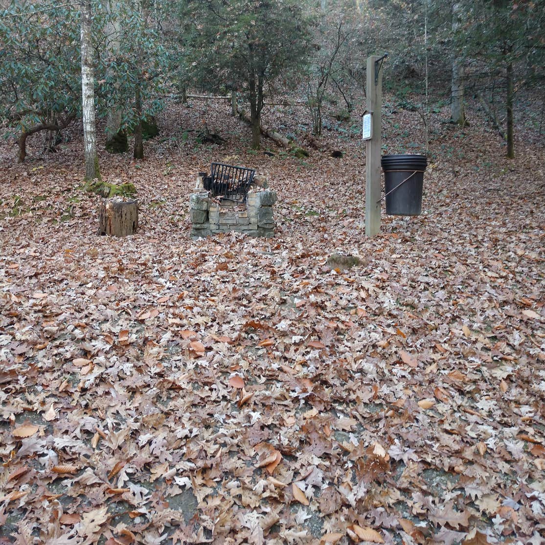 Seneca State Forest Camping | Dunmore, West Virginia