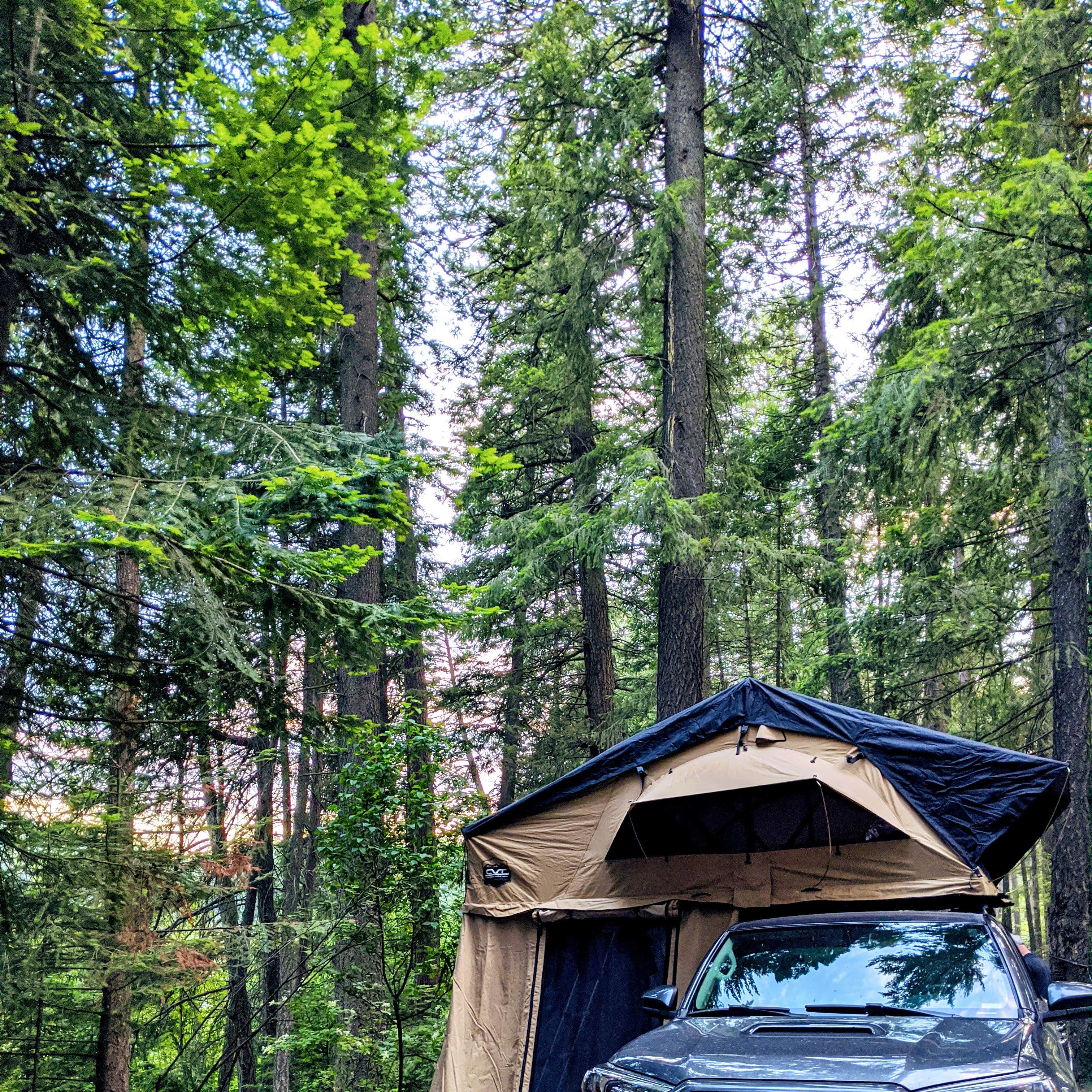 Round Lake State Park Campground | Cocolalla, Idaho