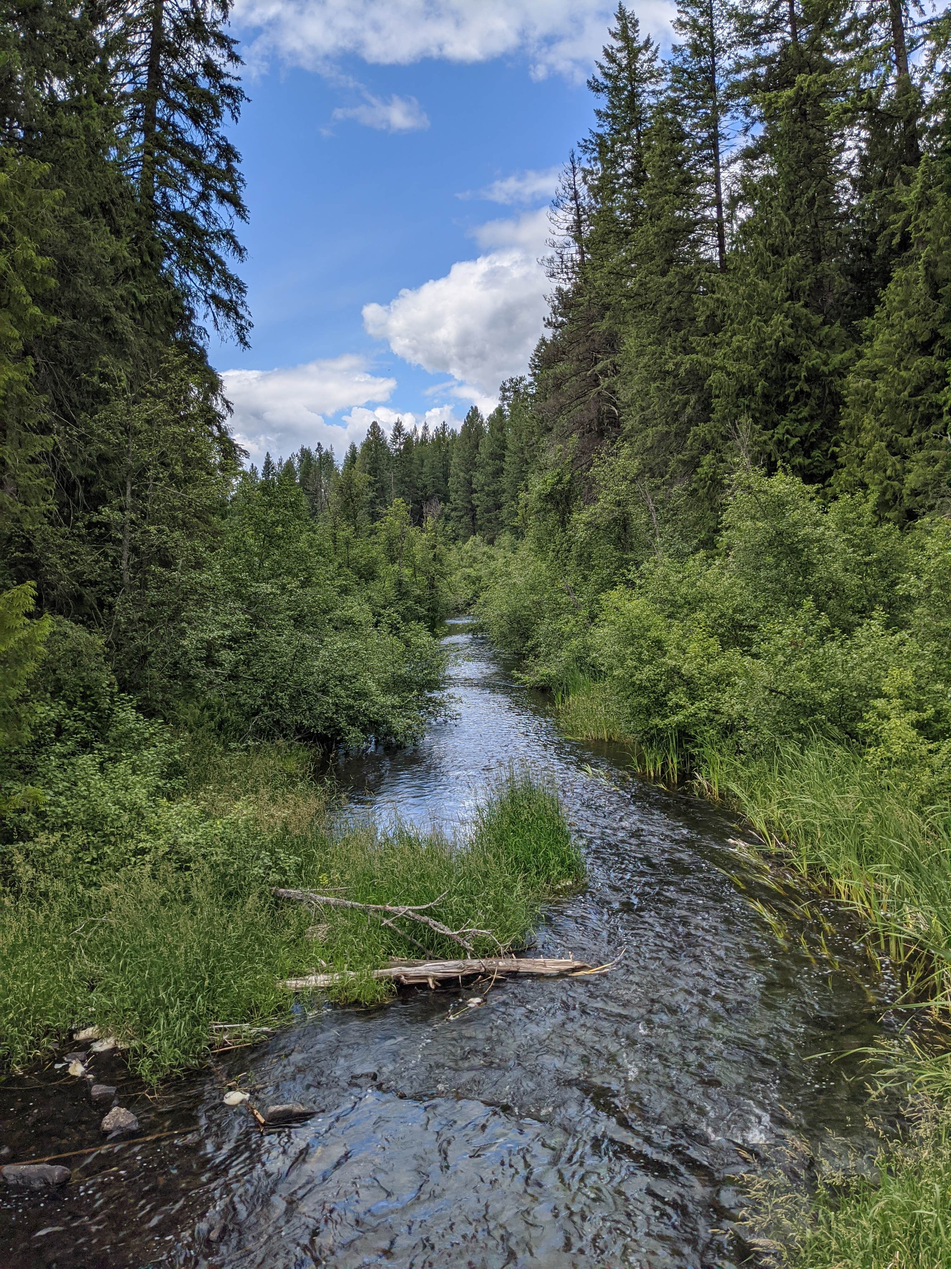 Round Lake State Park Campground | Cocolalla, Idaho